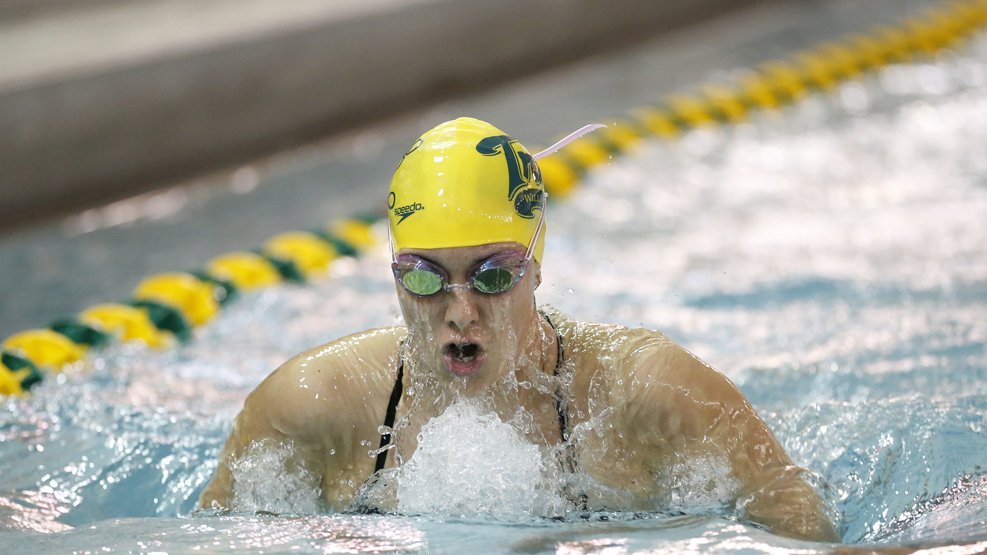 Diana Tramontano - 2020-21 - Women's Swimming - William & Mary Athletics