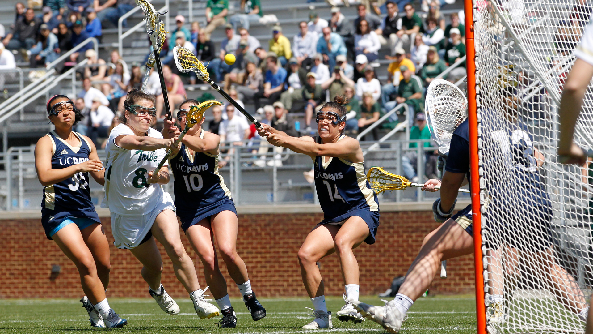 Emma MacLeod - 2018 - Women's Lacrosse - William & Mary Athletics