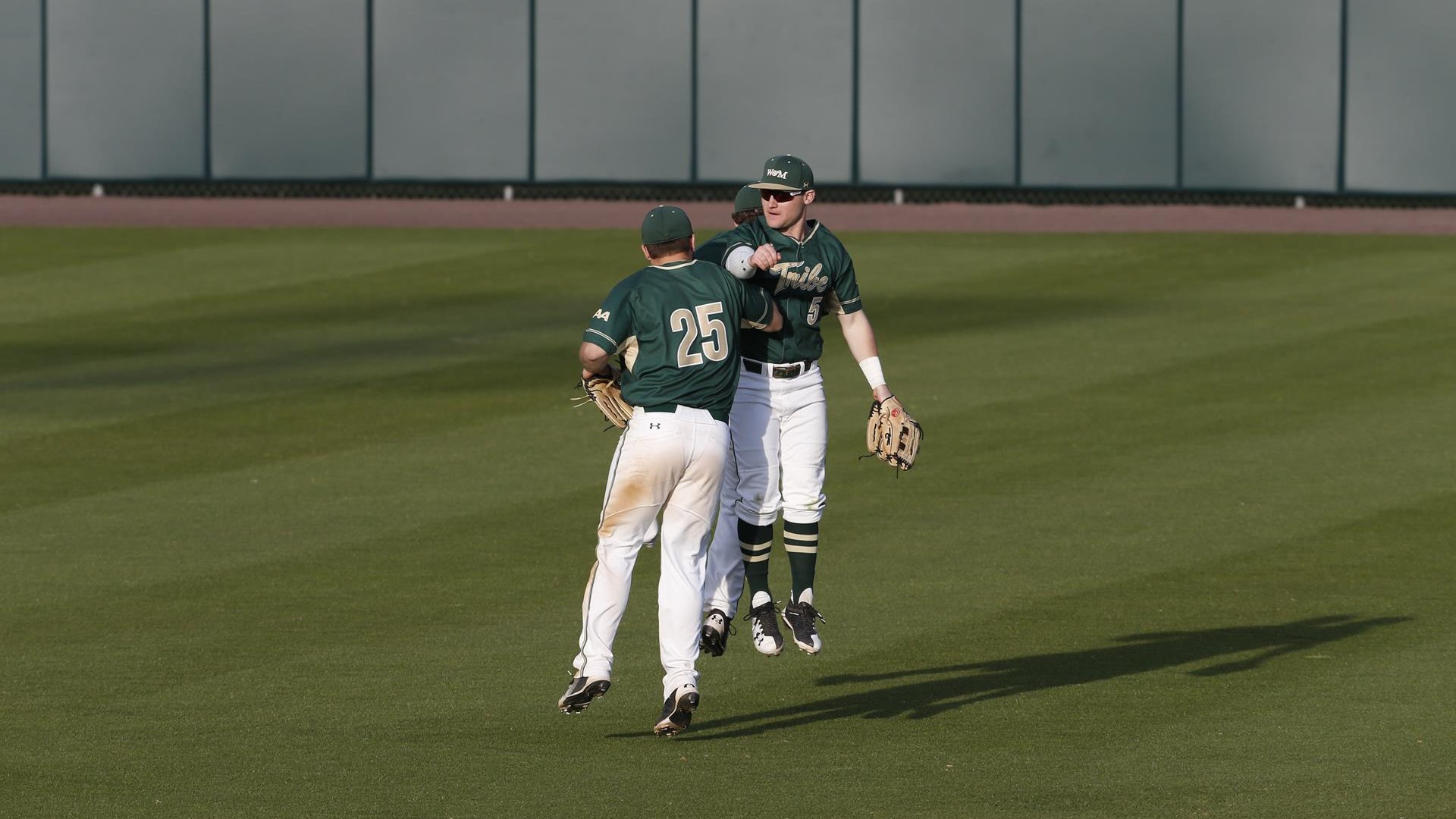 Luca Farina - 2018 - Baseball - William & Mary Athletics