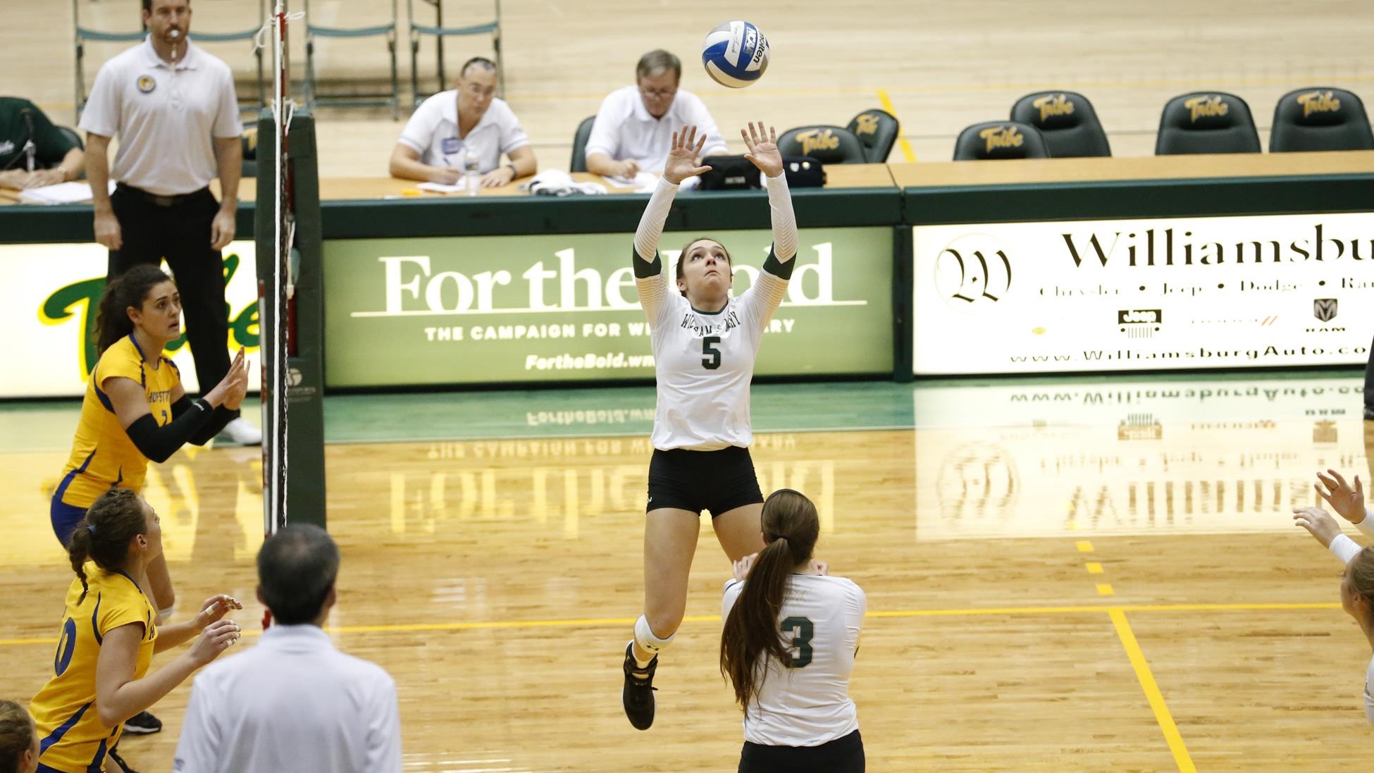 Autumn Brenner - 2019 - Women's Volleyball - William & Mary Athletics