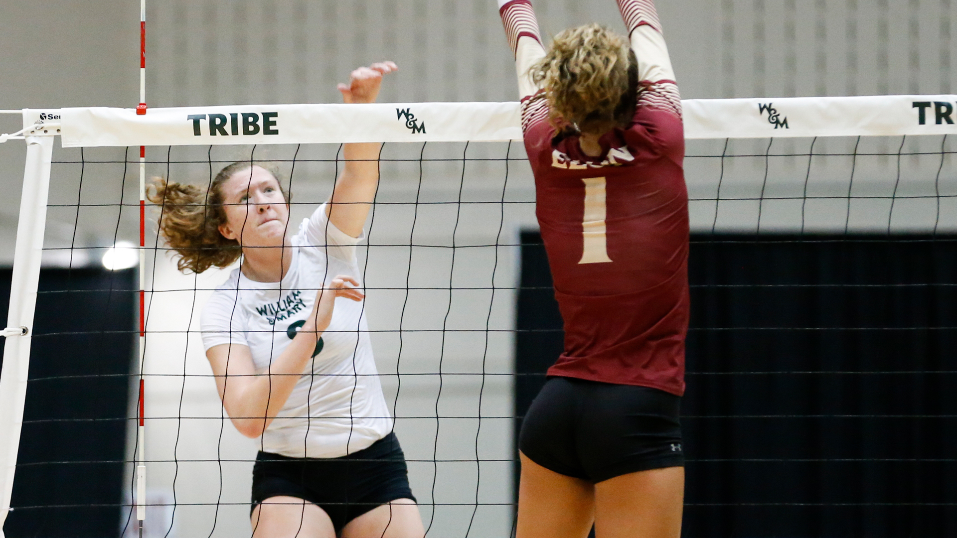 Kate Dedrick - 2020-21 - Women's Volleyball - William & Mary Athletics