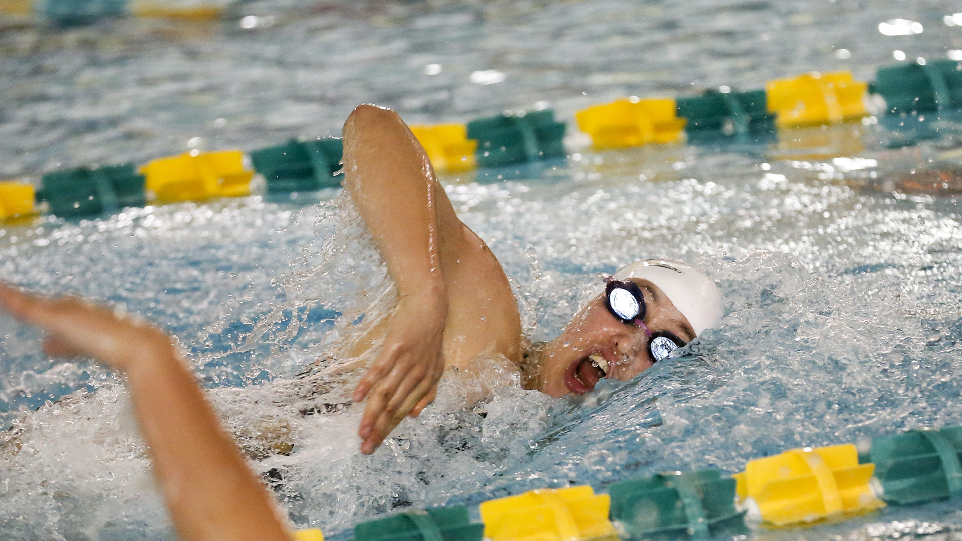 Megan Bull - 2020-21 - Women's Swimming - William & Mary Athletics