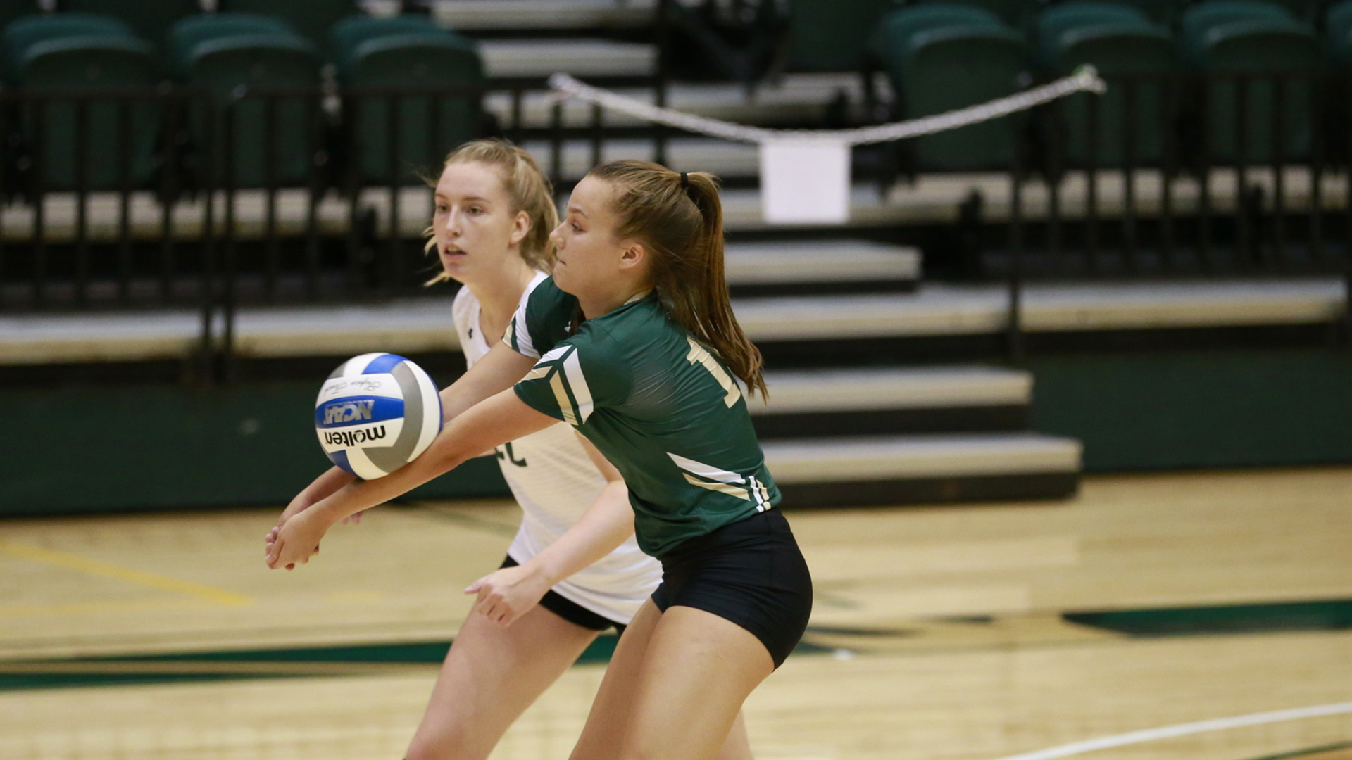 Tribe Volleyball Splits Opening Day - William & Mary Athletics
