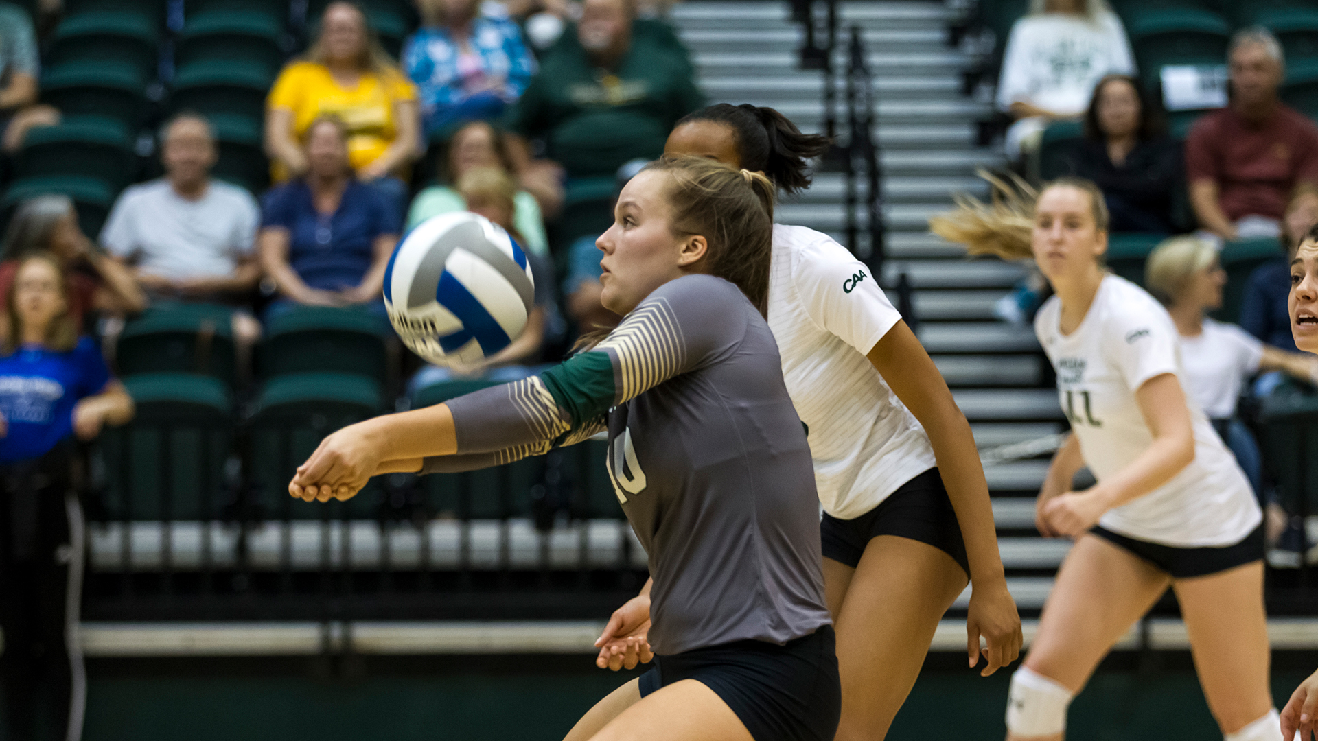 Anna Porter - 2022 - Women's Volleyball - William & Mary Athletics