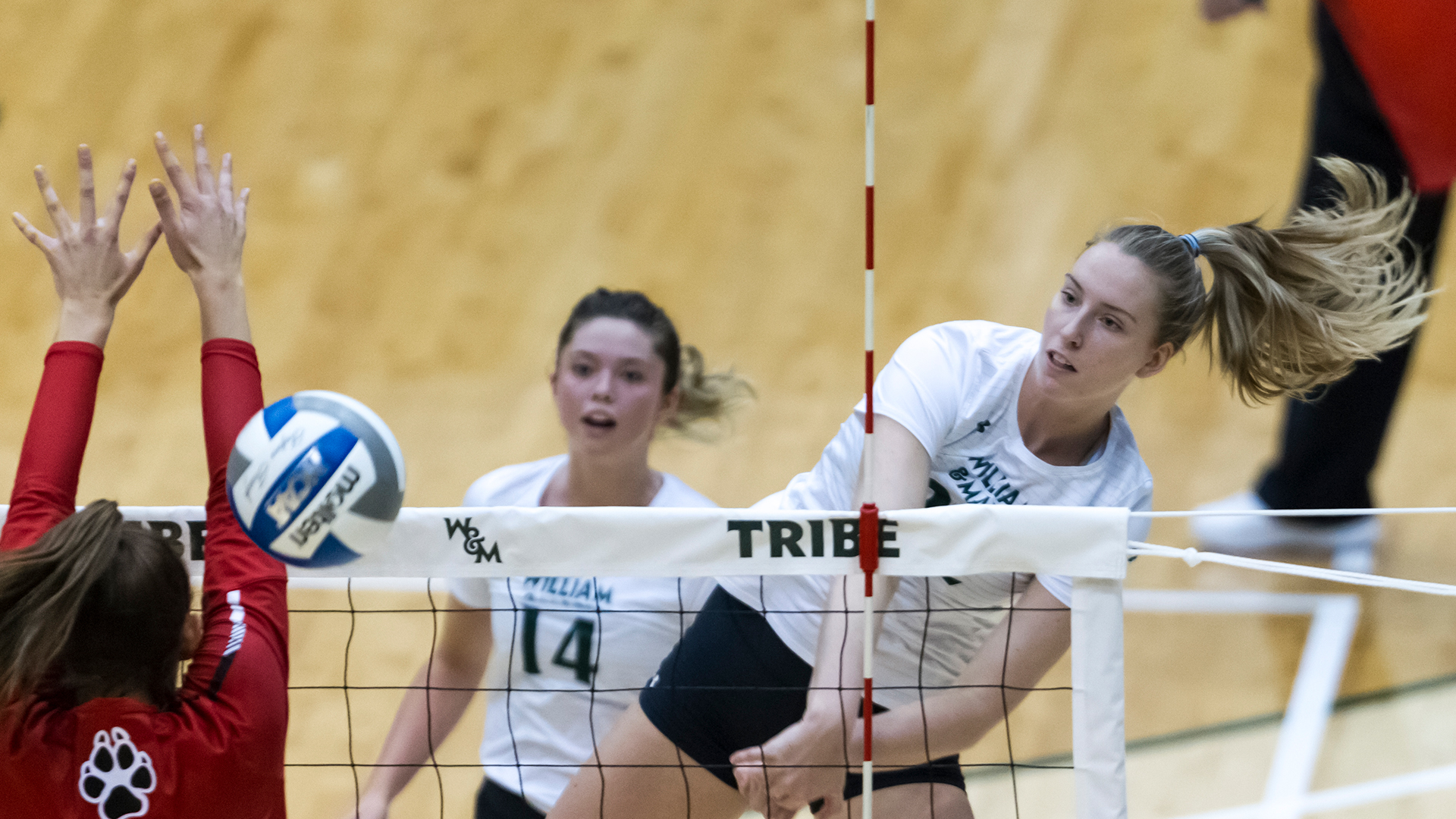 Claire Farrell - 2021 - Women's Volleyball - William & Mary Athletics