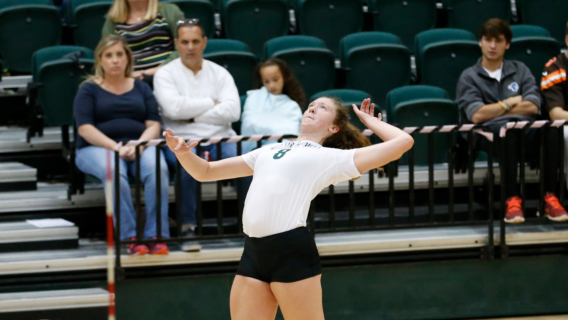 Dedrick's Record Night Not Enough In Tribe Loss - William & Mary Athletics