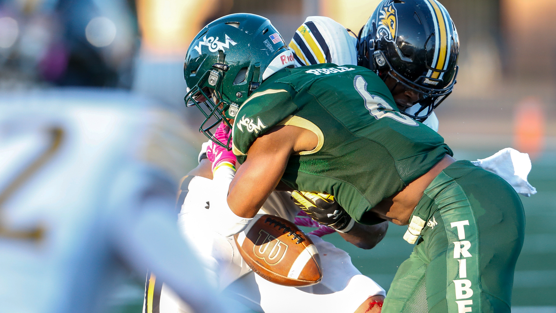 Ryan Ripley - 2021 - Football - William & Mary Athletics