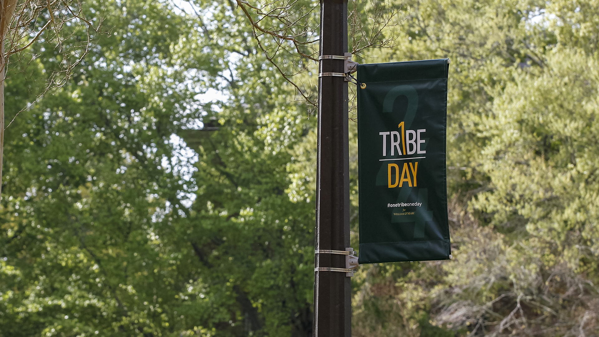 Tribe Scribe: One Tribe One Day nets a record haul of $506,360 ...