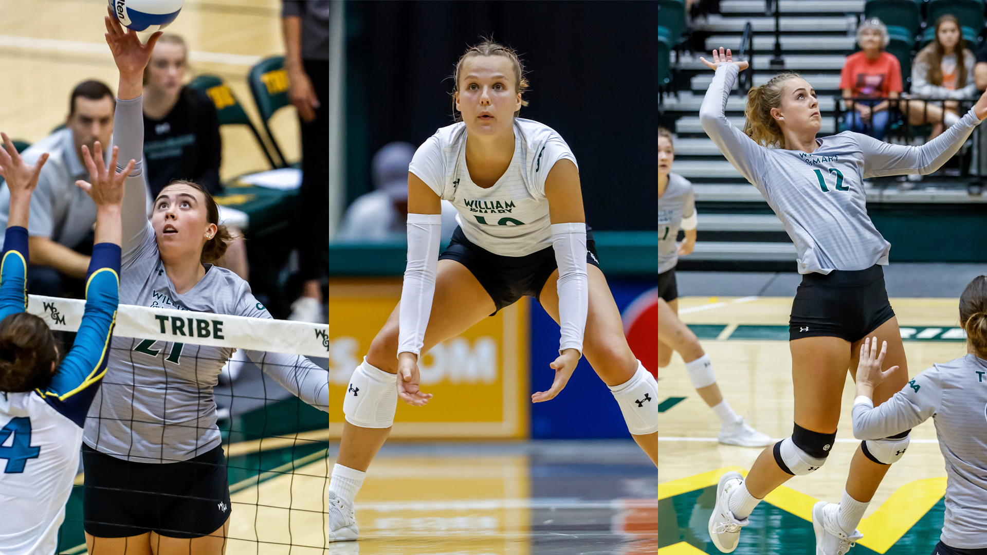 Love, Porter, Stothoff Earn All-League Honors - William & Mary Athletics