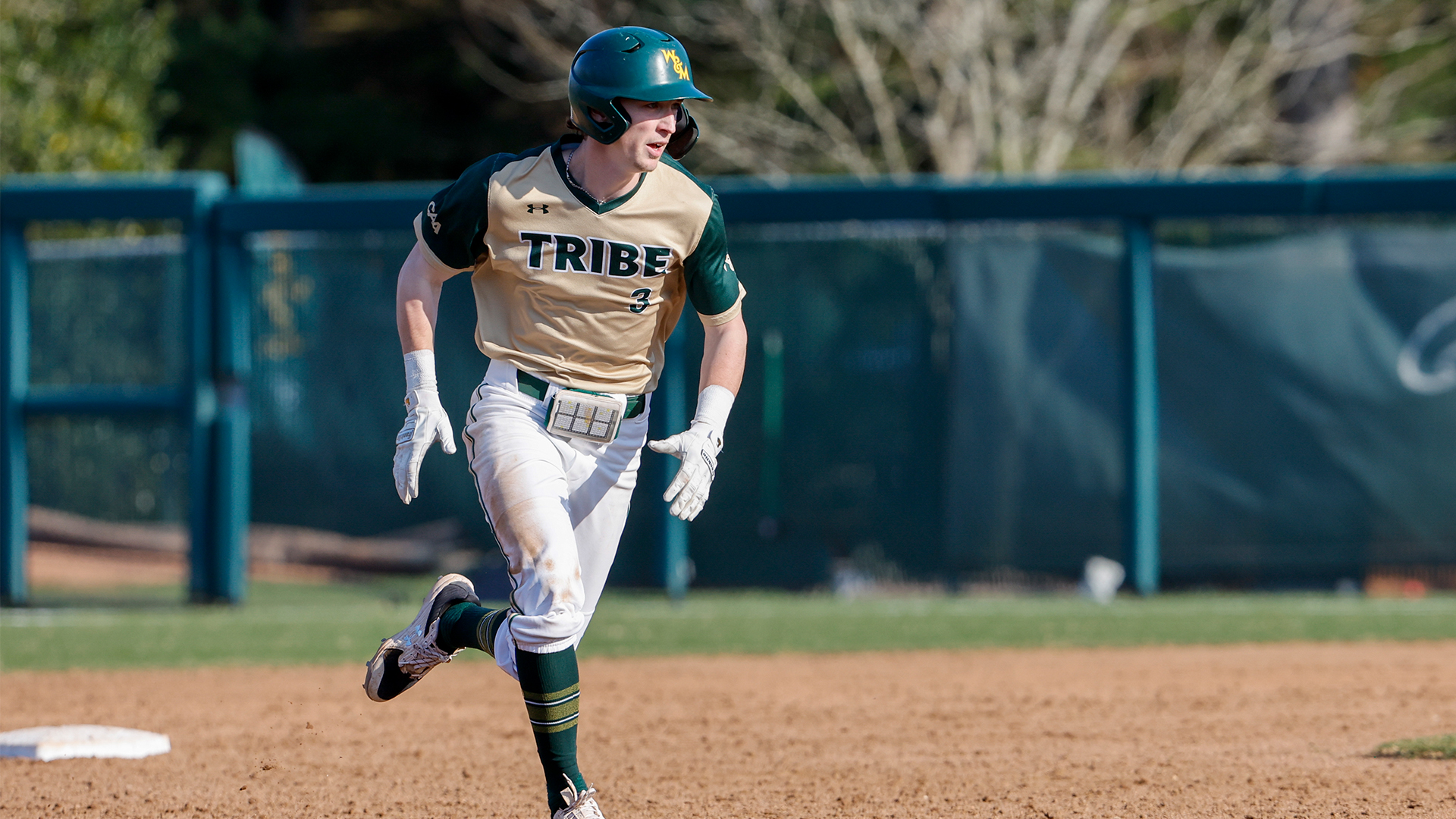 Cole Ragone - 2023 - Baseball - William & Mary Athletics