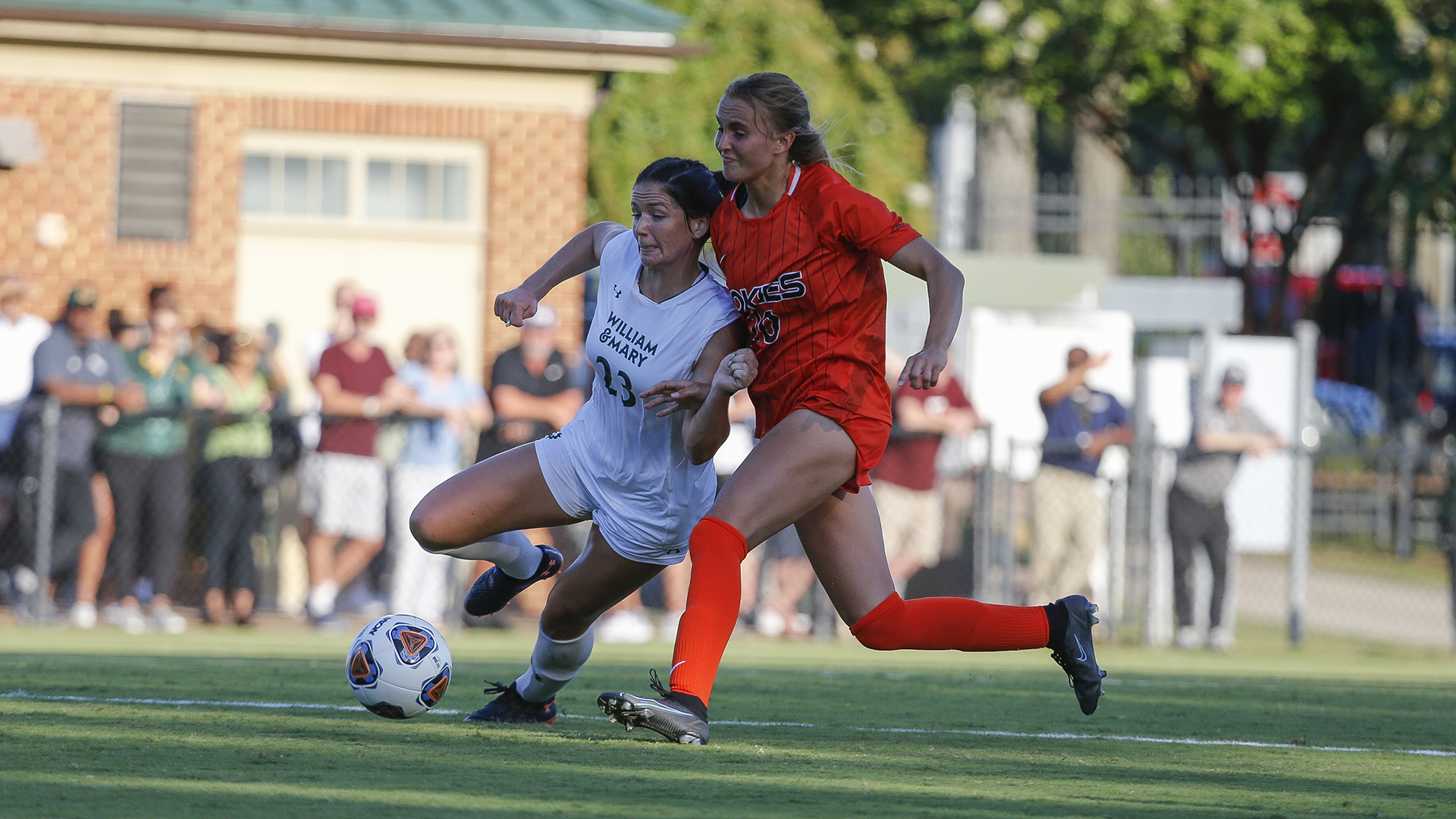 Ivey Crain Named CAA Rookie of the Week - William & Mary Athletics