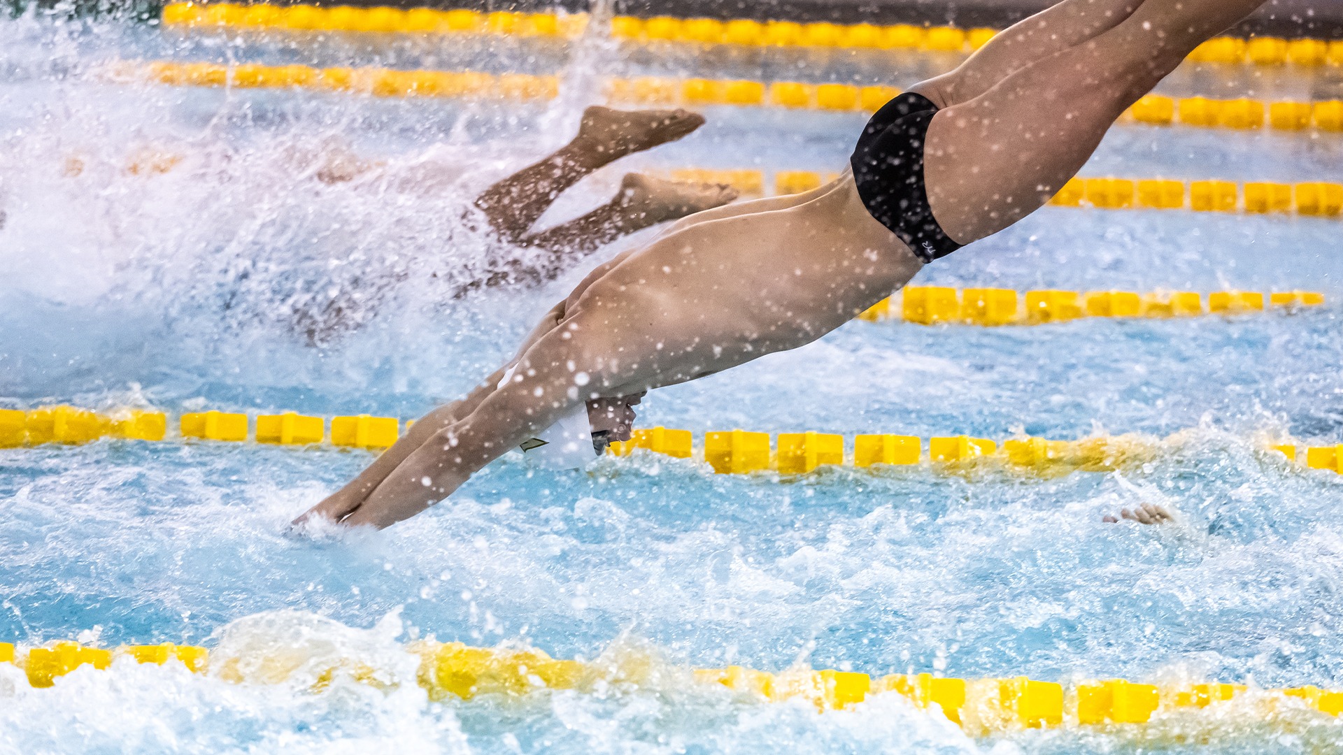 Tribe Swimming Downs ODU - William & Mary Athletics