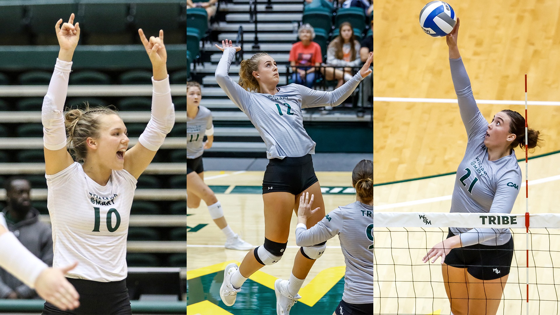 Love Named Rookie of the Year, Porter Stothoff Earn VaSID Honors ...
