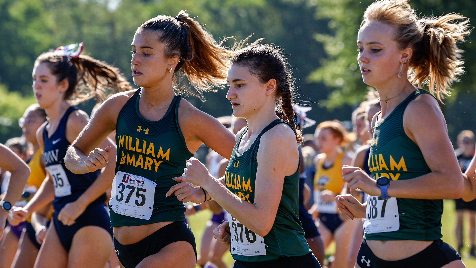 Molly Coyle - 2023 - Women's Cross Country - William & Mary Athletics