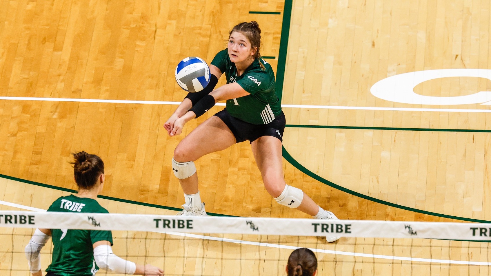 Hofstra Pushes Past Volleyball in Sunday Contest - William & Mary Athletics