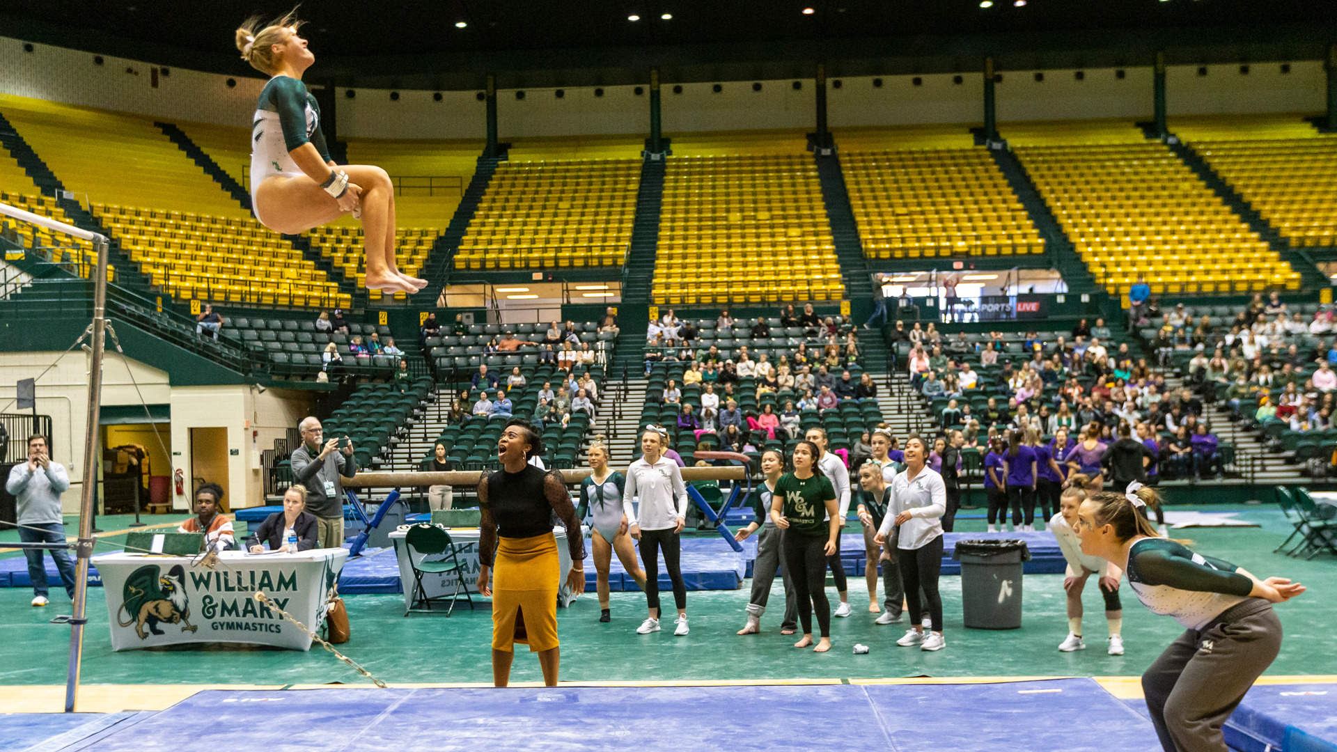 Emma Wiley - 2022-23 - Women's Gymnastics - William & Mary Athletics