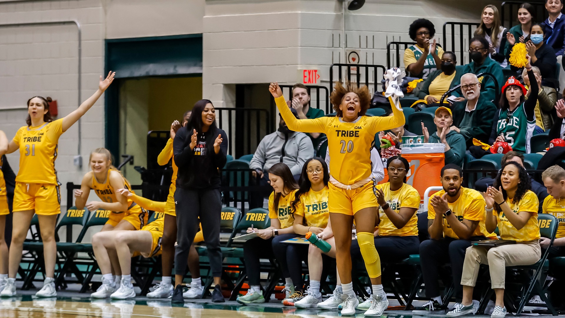 Tribe Set to Host Hofstra, Honor Seniors in Regular-Season Finale ...