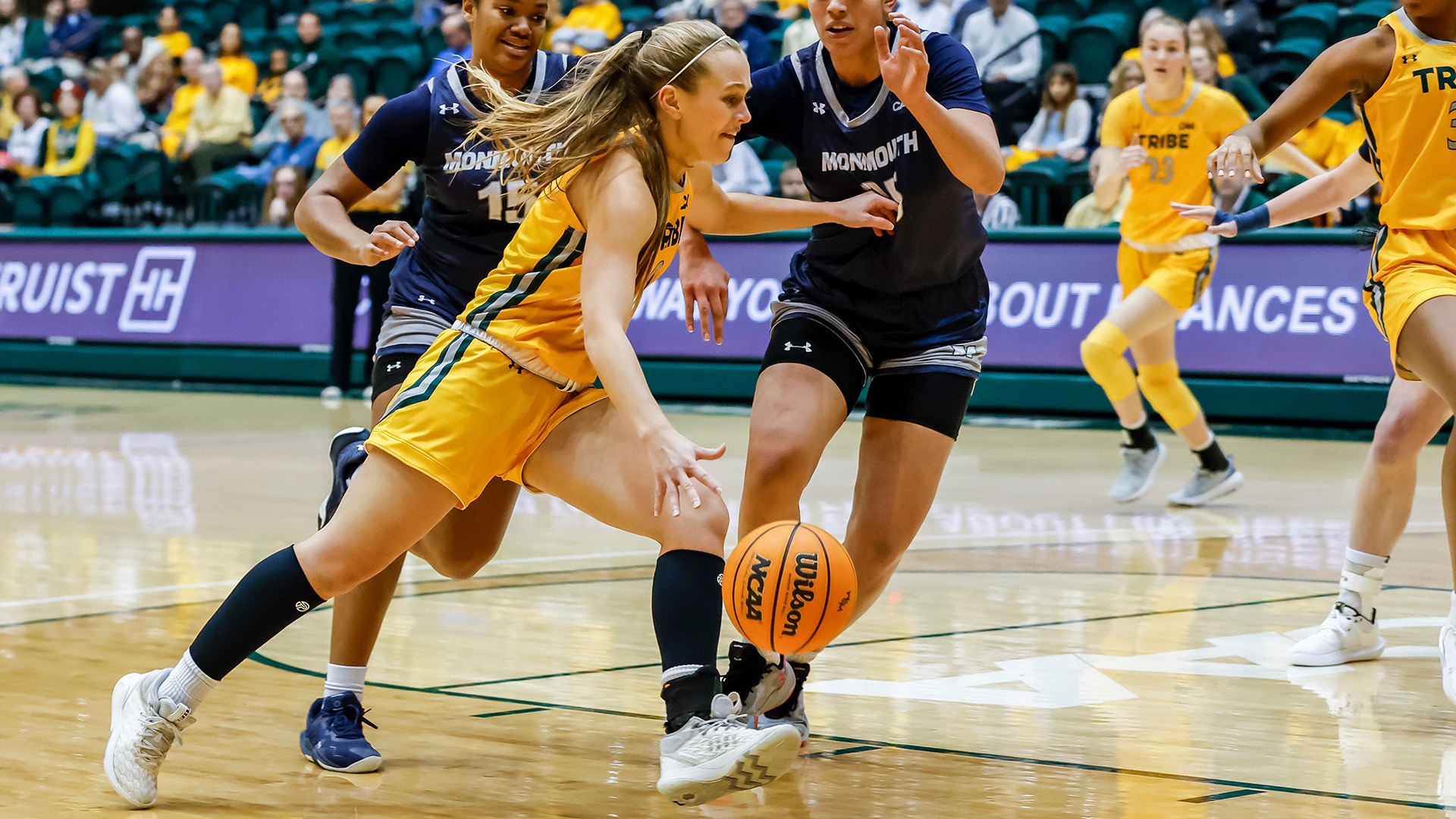 Tribe Scribe: Casey’s Career Night Leads W&M Past Hawks - William ...