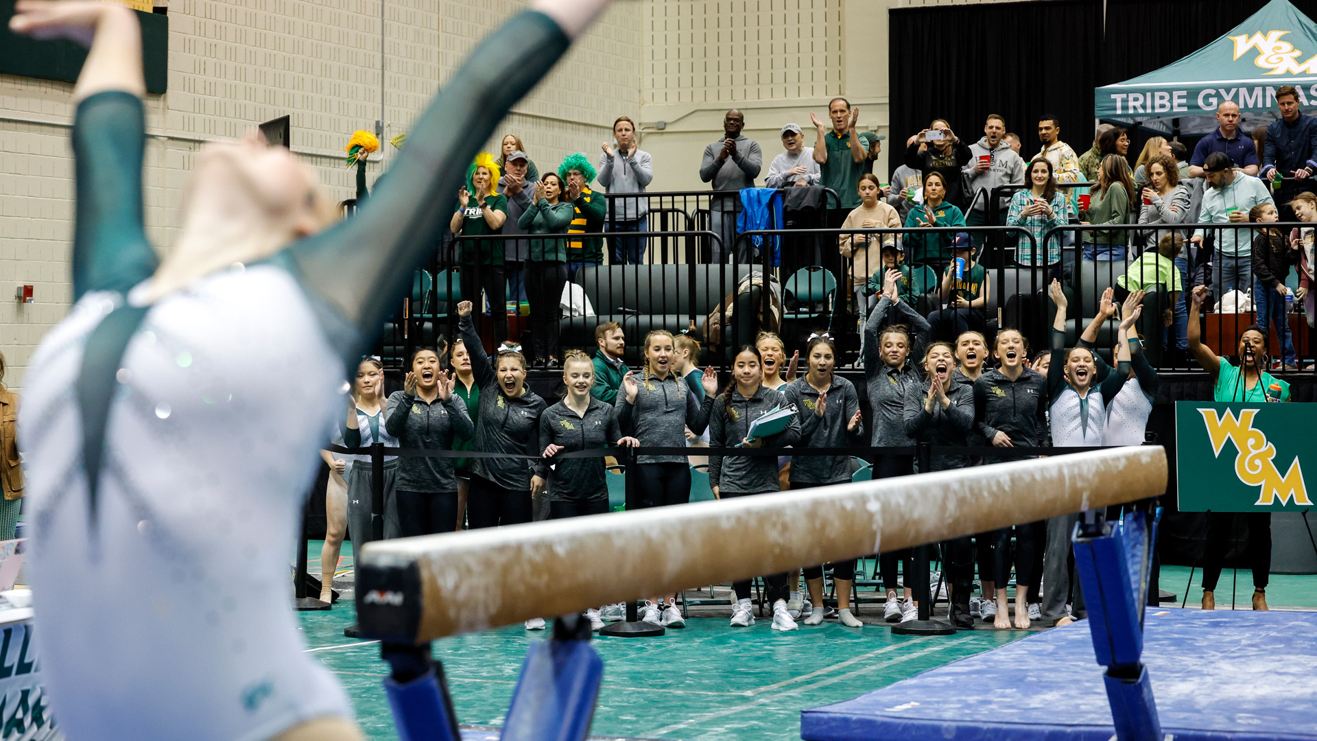 Women’s Gymnastics Announces Newcomers for 2023-24 - William & Mary Athletics