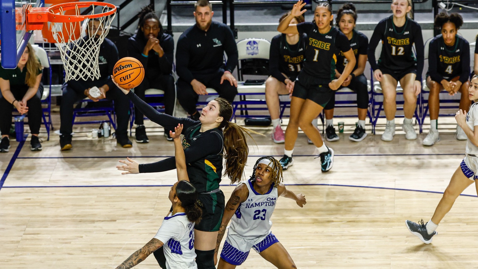 Cate Carlson - 2023-24 - Women's Basketball - William & Mary Athletics