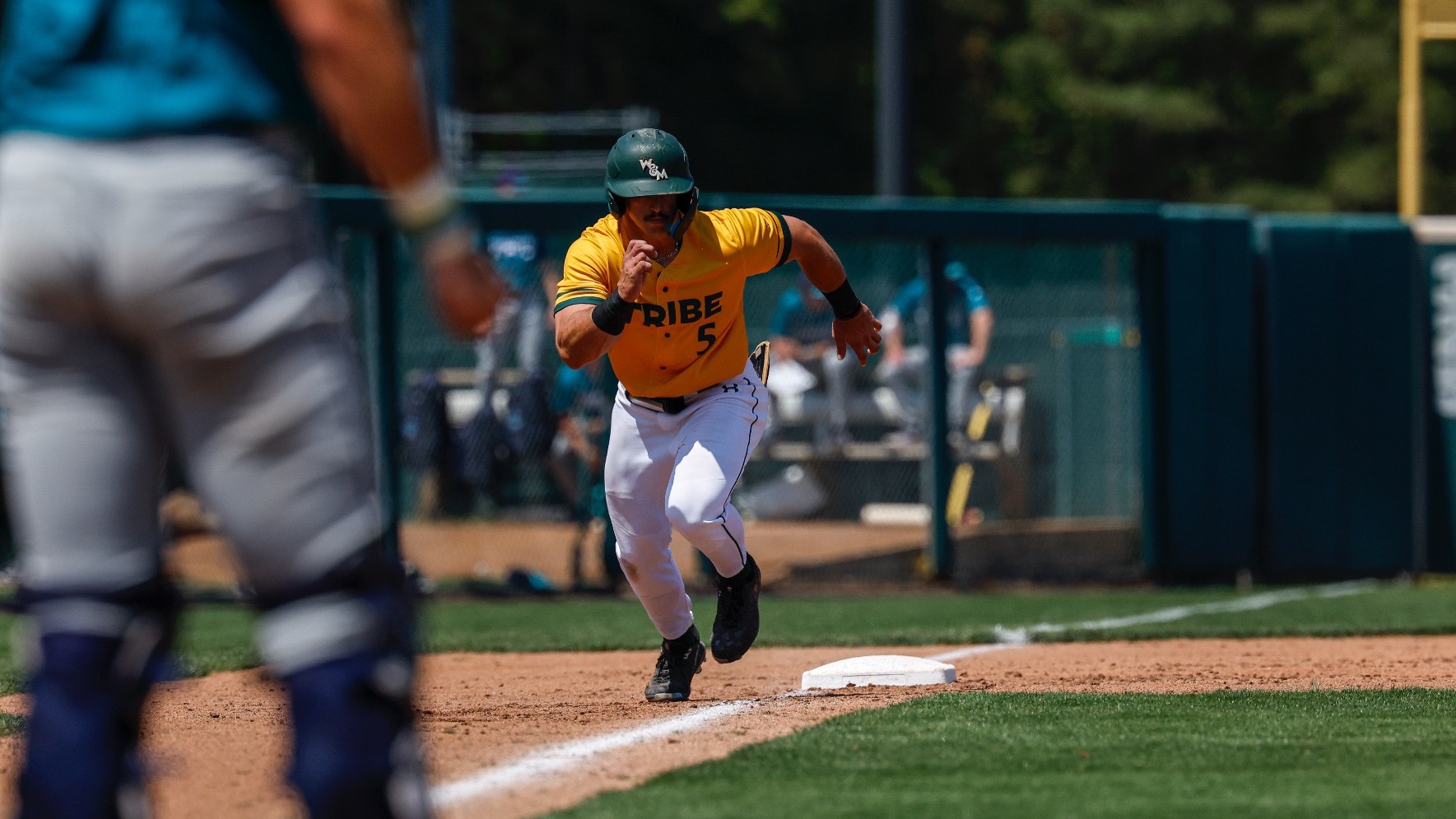 No. 24 UNCW Tops Baseball in CAA Weekend Series Finale - William & Mary ...