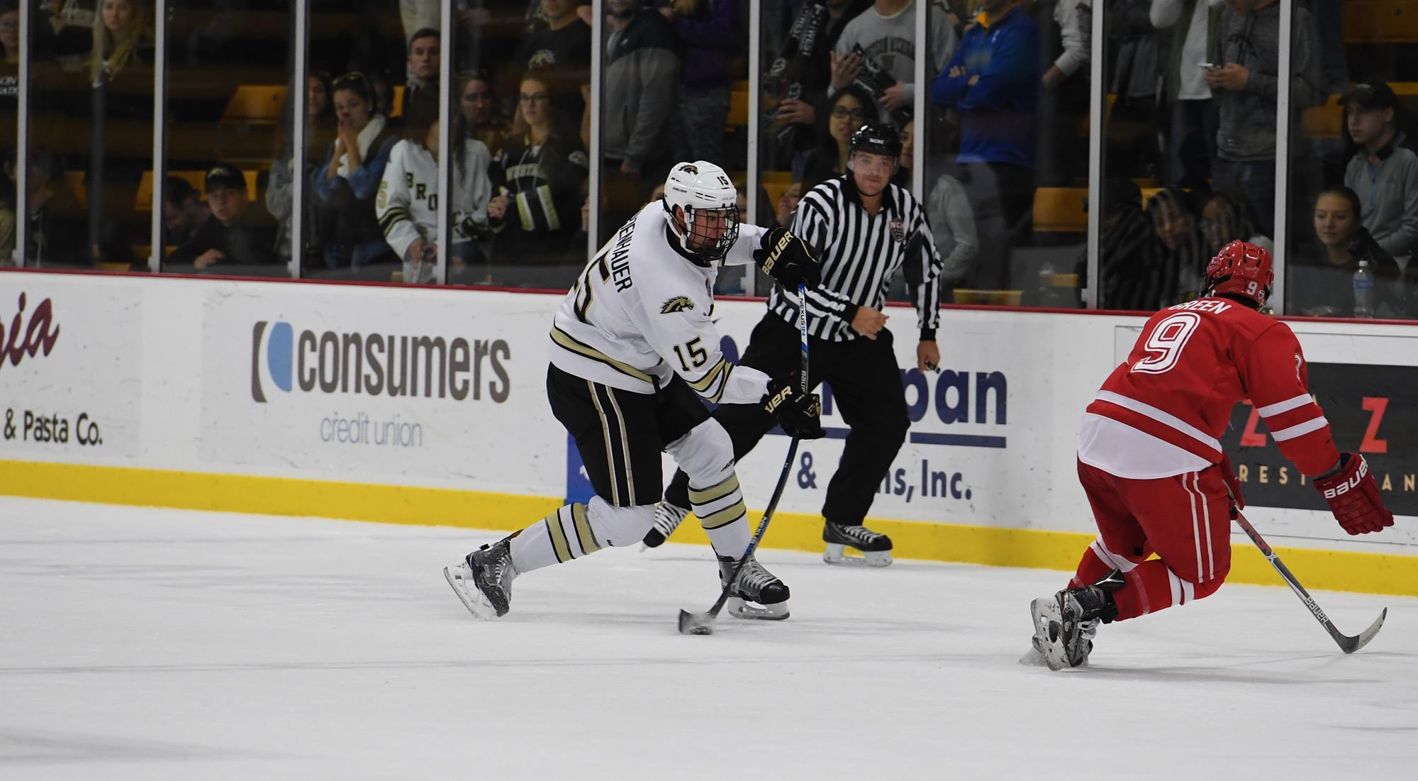 Scott Moldenhauer - Men's Ice Hockey - Western Michigan University ...
