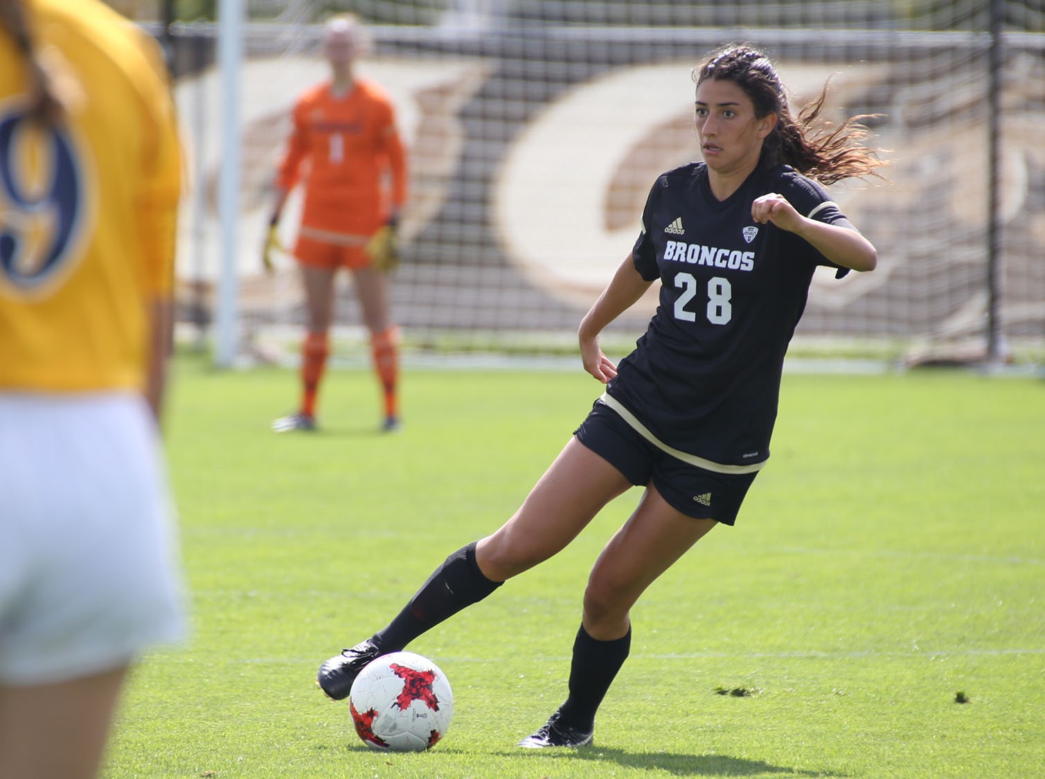 Register Now for WMU Women's Soccer Summer Camps - Western Michigan ...