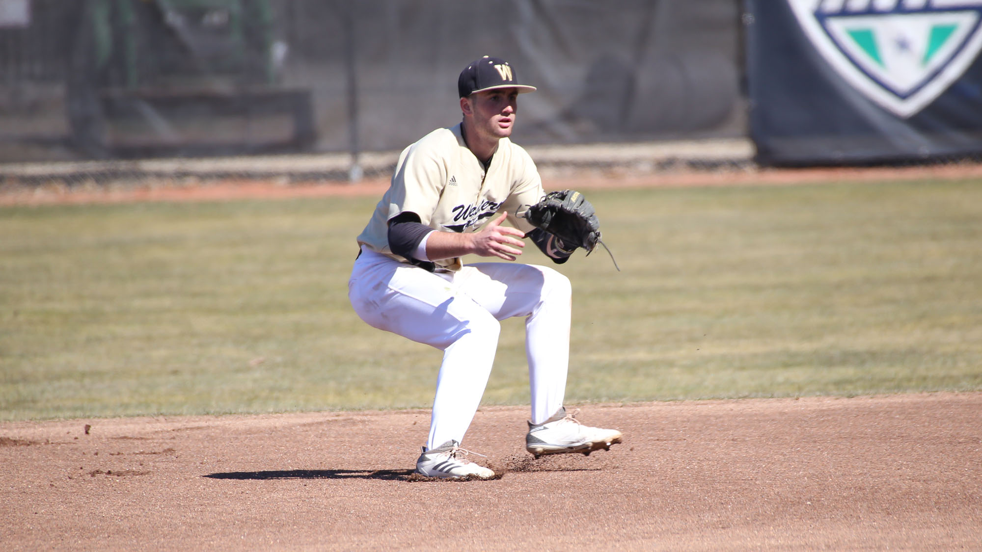 Drew Devine - Baseball - Western Michigan University Athletics