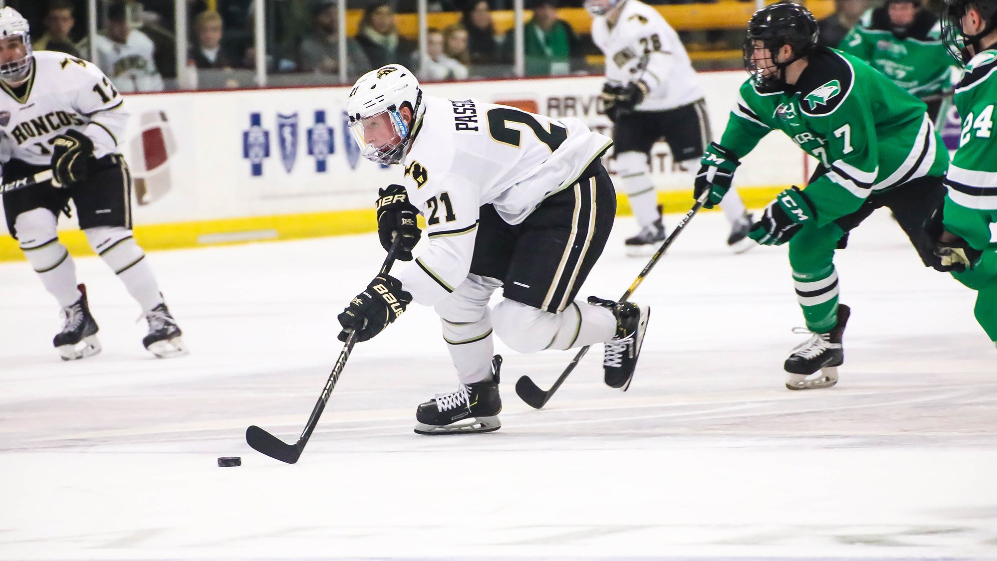 Josh Passolt - Men's Ice Hockey - Western Michigan University Athletics