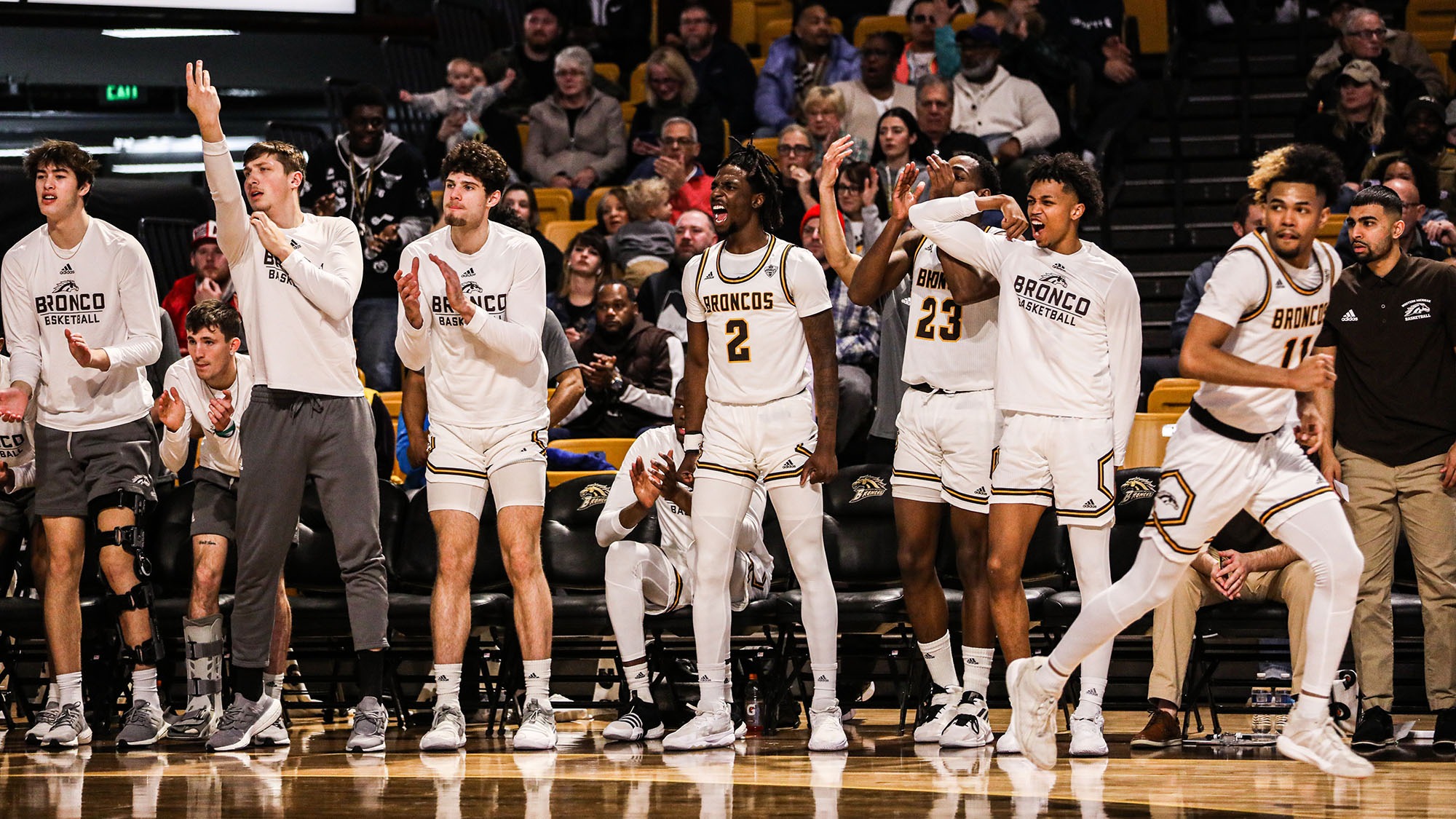 Tray Maddox Jr. - Men's Basketball - Western Michigan University Athletics