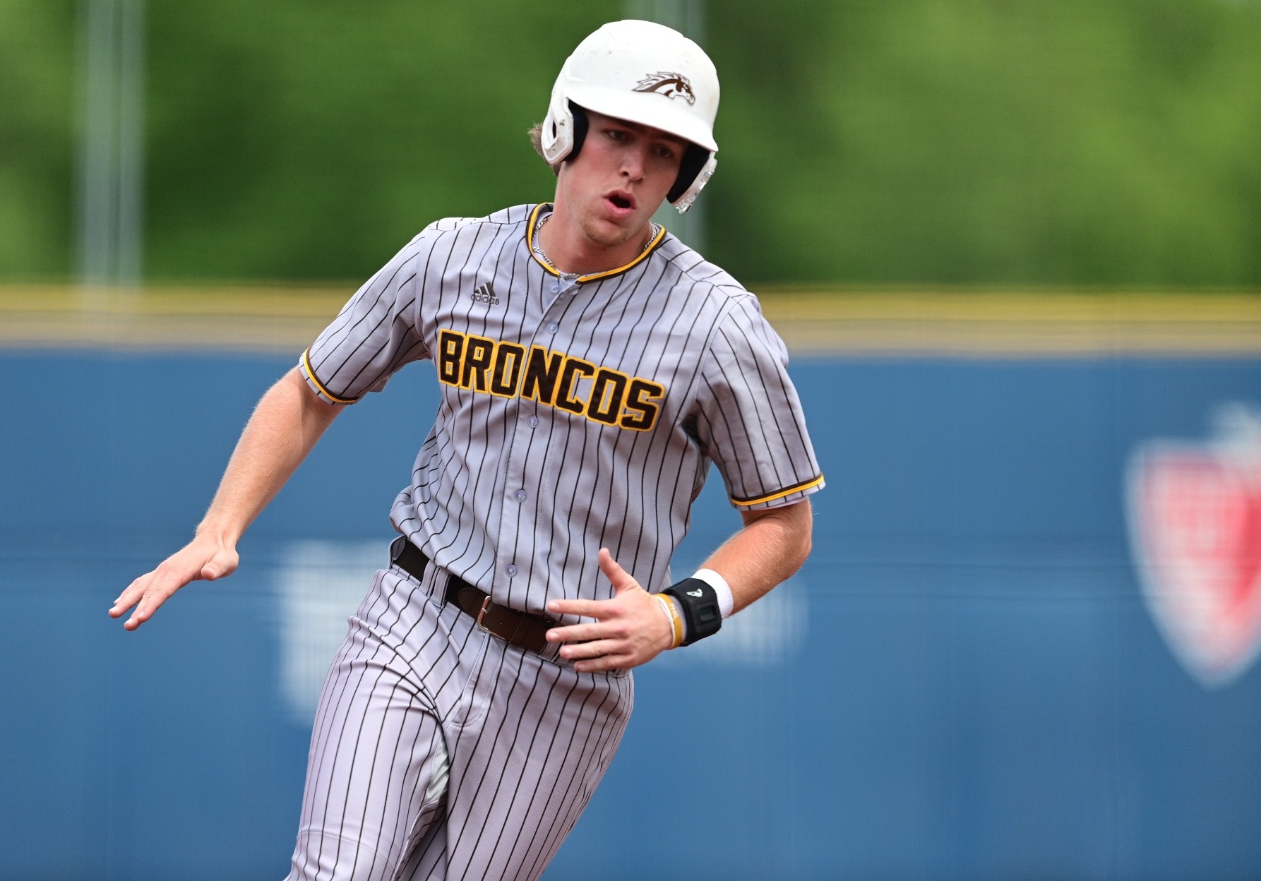 Cade Sullivan - Baseball - Western Michigan University Athletics