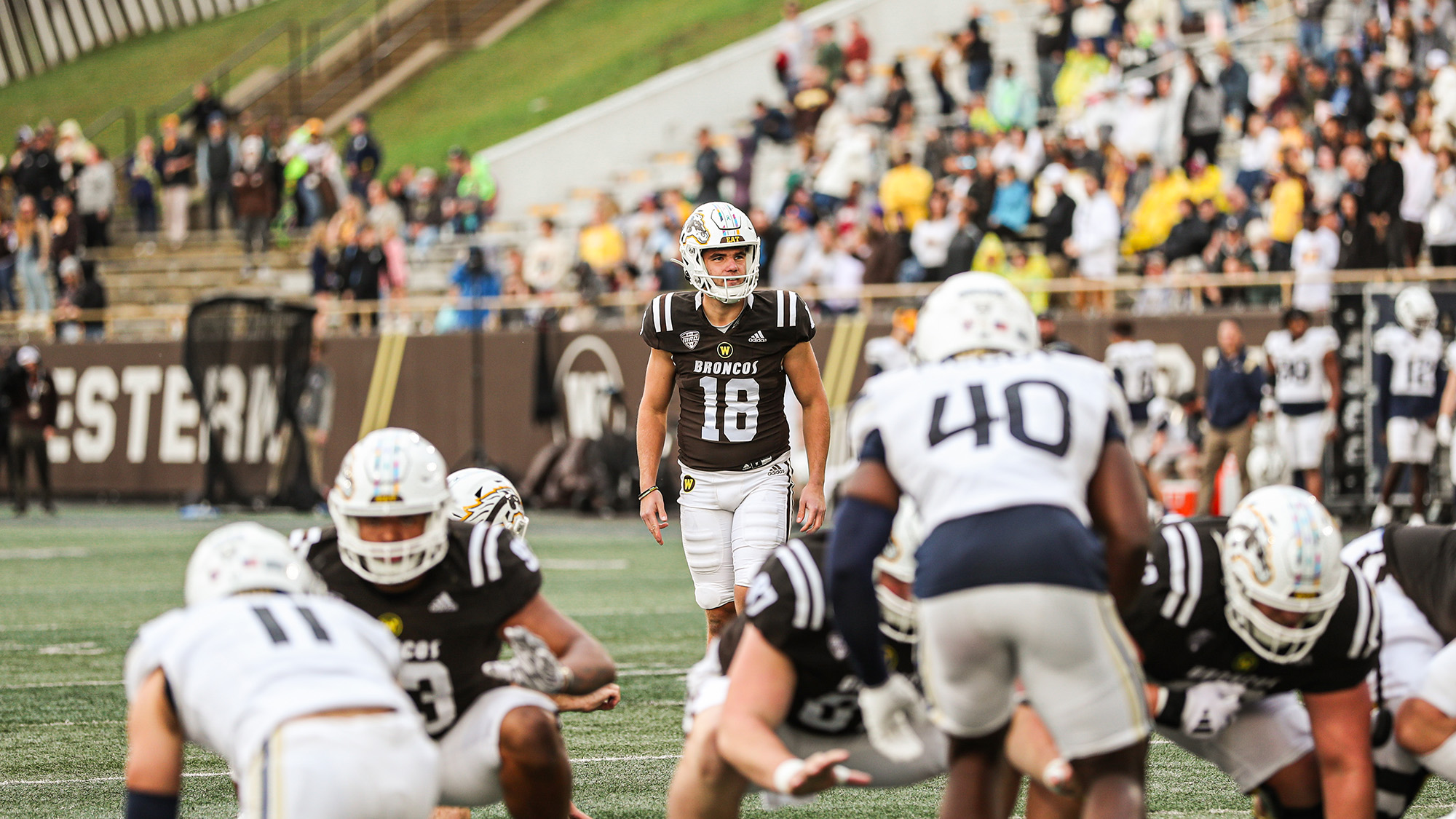 Western Michigan University's Football Field at Waldo Stadium to be ...