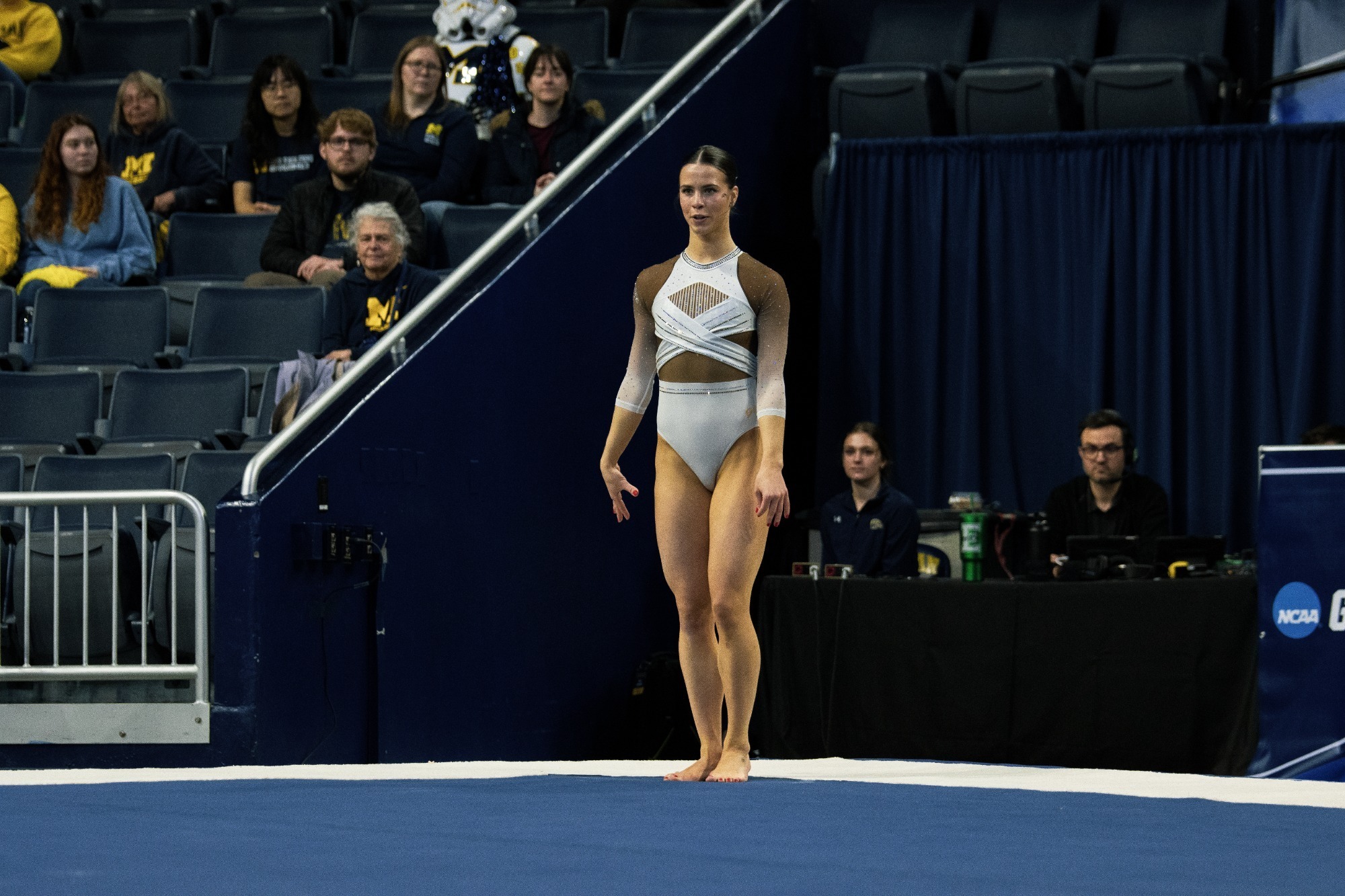 Gymnastics Wins MAC Tournament Championship - Western Michigan ...
