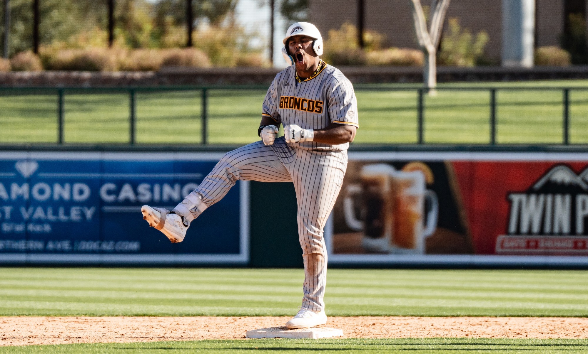 CJ Richmond - Baseball - Western Michigan University Athletics