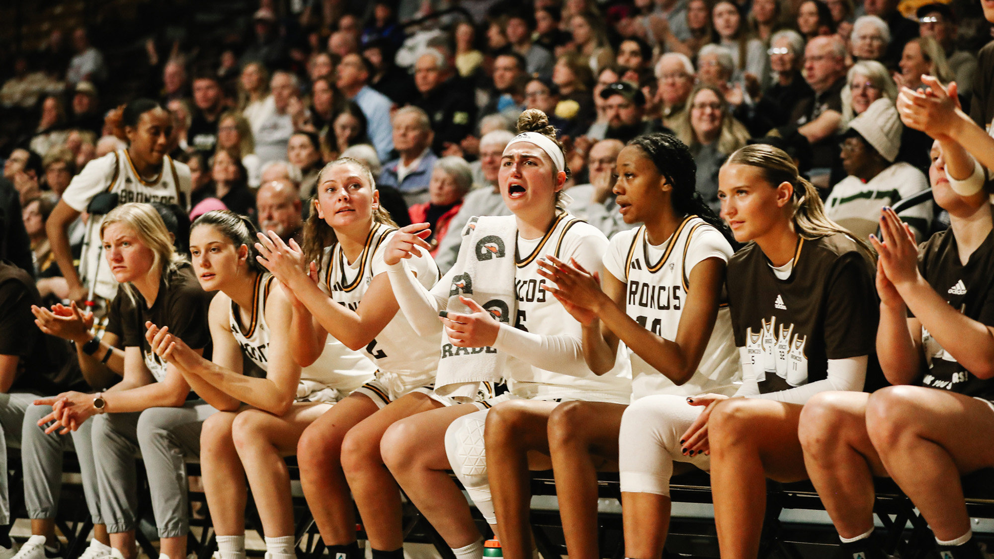 2024-25 Women's Basketball Schedule - Western Michigan University Athletics