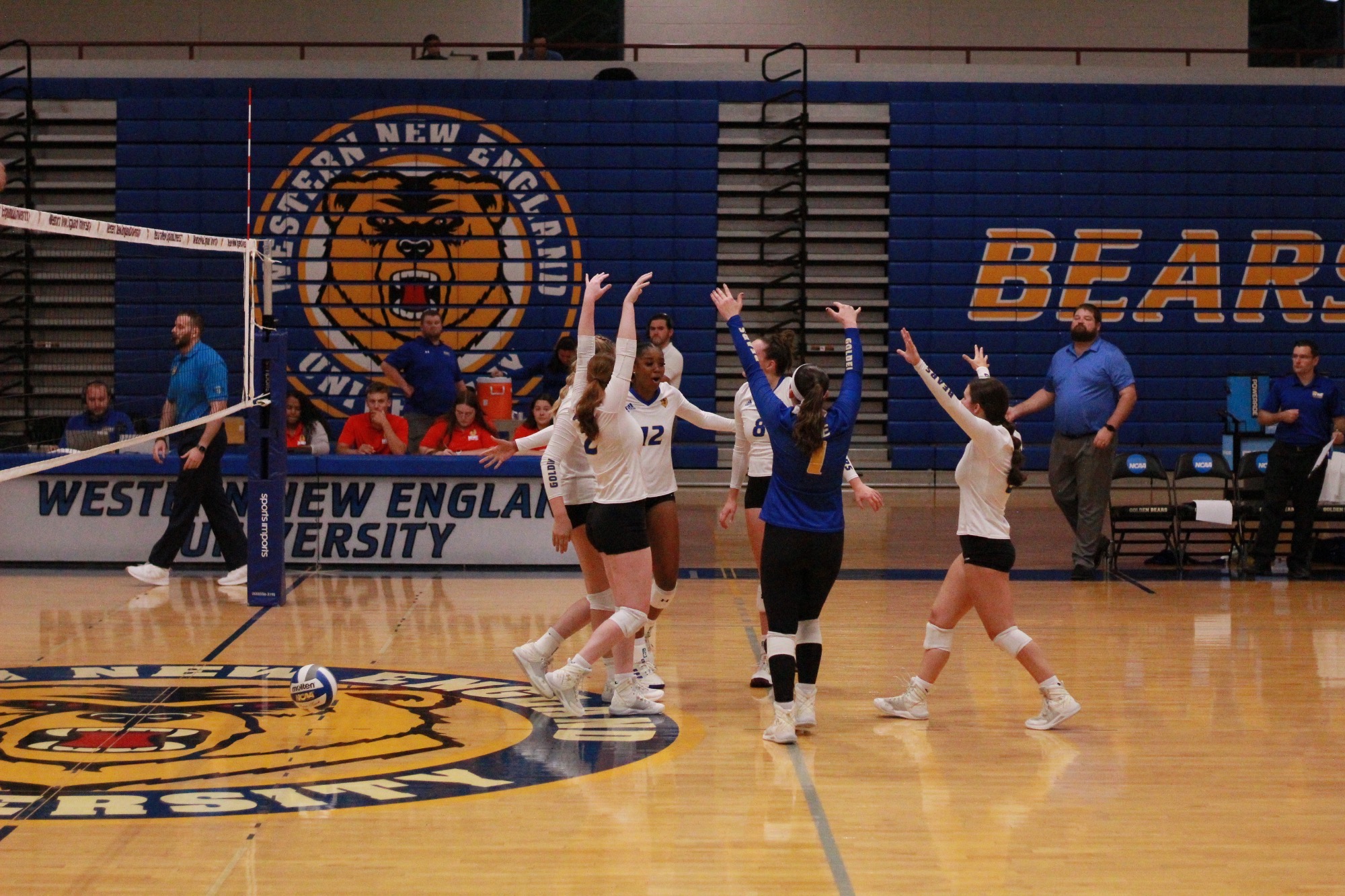 WNE Volleyball Opens CCC Play with 3-1 Win over UNE - Western New ...