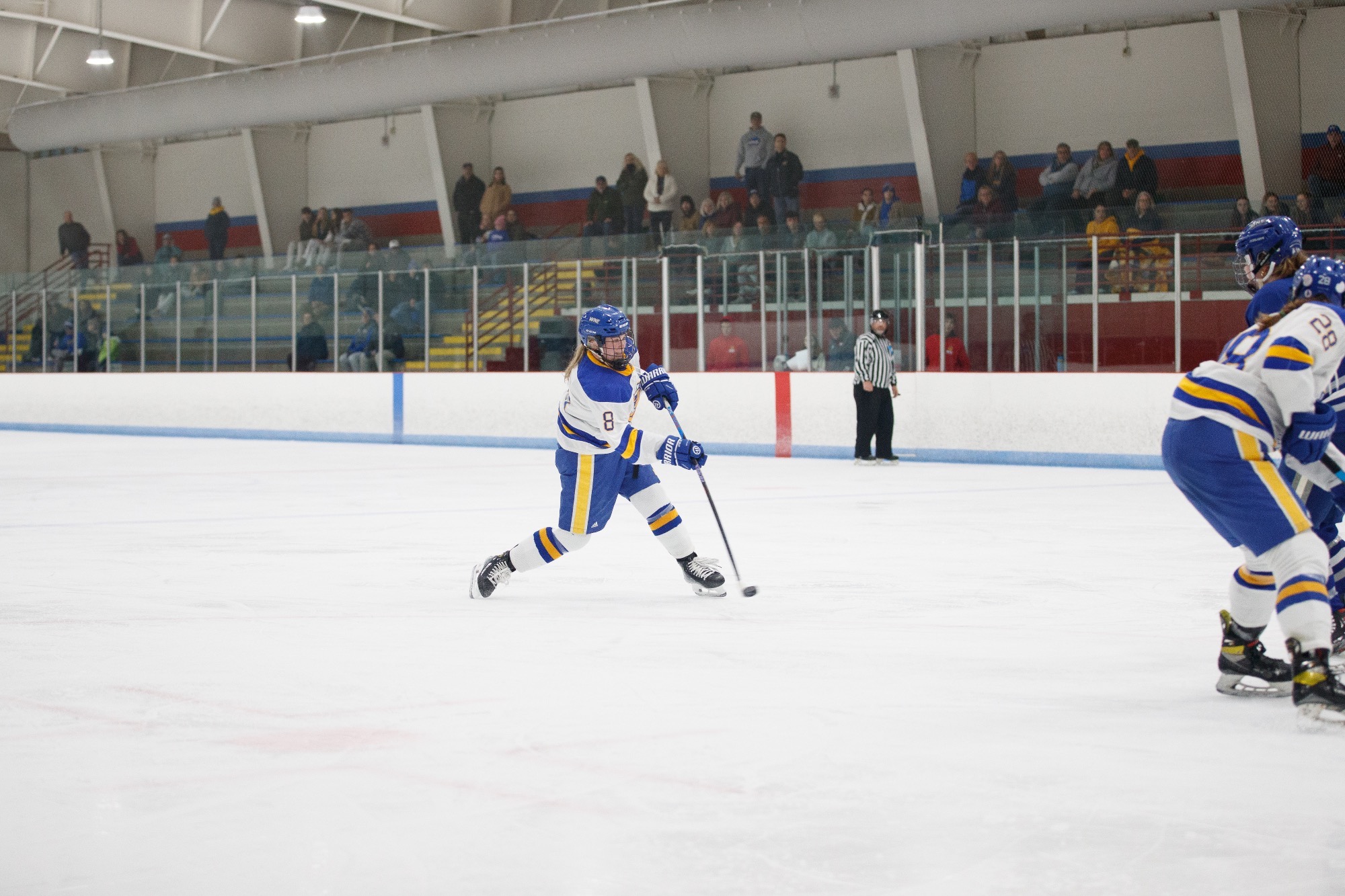 Murphy’s Two Goals Lifts WNE Women’s Ice Hockey Into CCC Championship ...