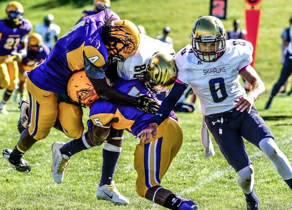 Anthony Phillips - 2014 - Football - Western New Mexico University ...