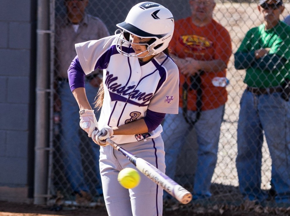 Alicia Enriquez - 2016 - Softball - Western New Mexico University Athletics