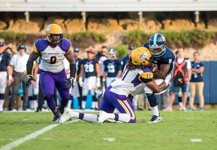 Dominic Barry - 2017 - Football - Western New Mexico University Athletics