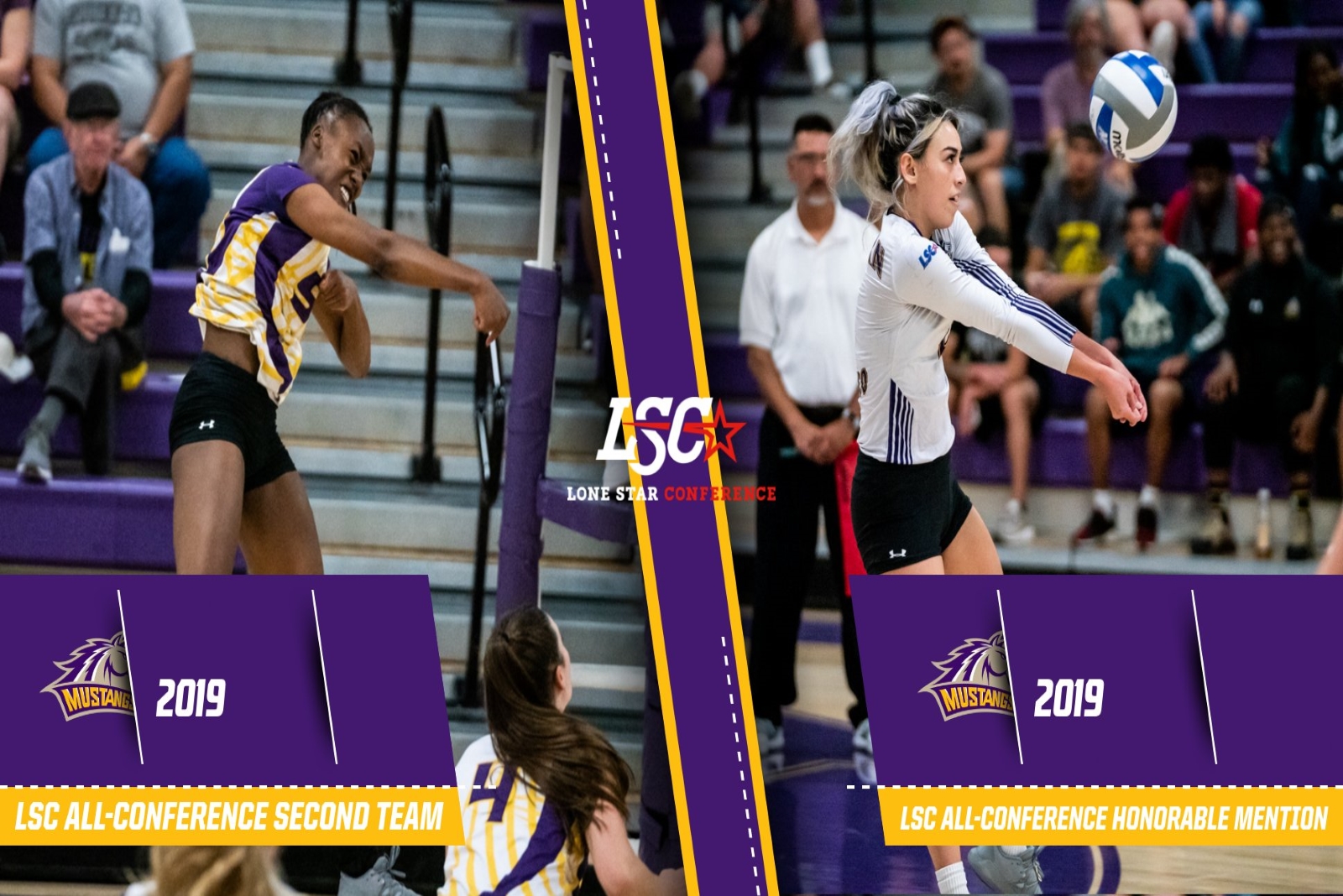 Bria Augustine - 2022 - Volleyball - Western New Mexico University ...