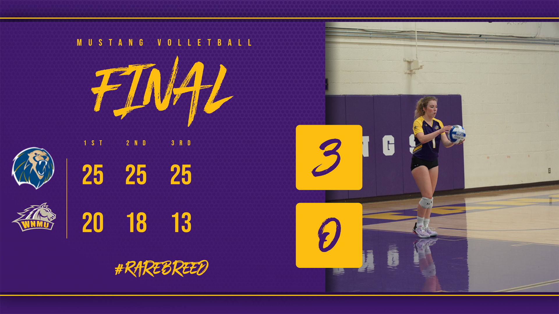 Lions Sweep Mustangs - Western New Mexico University Athletics