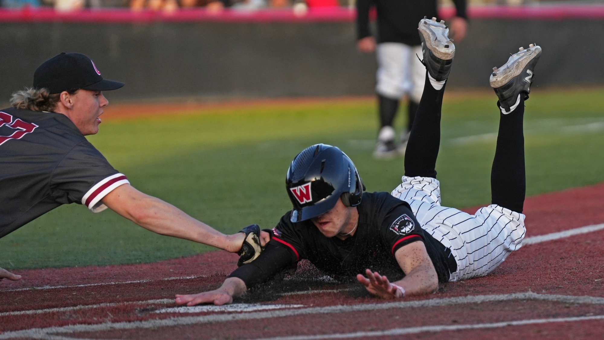Shane Tacla - Baseball - Western Oregon University Athletics