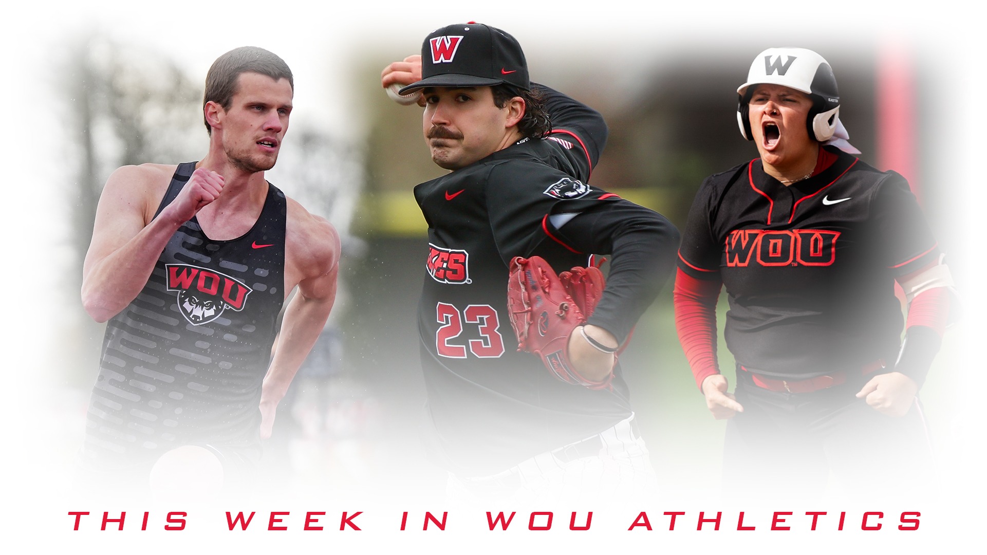 It's that time! Online portion of Wolves Athletic Auction begins noon ...