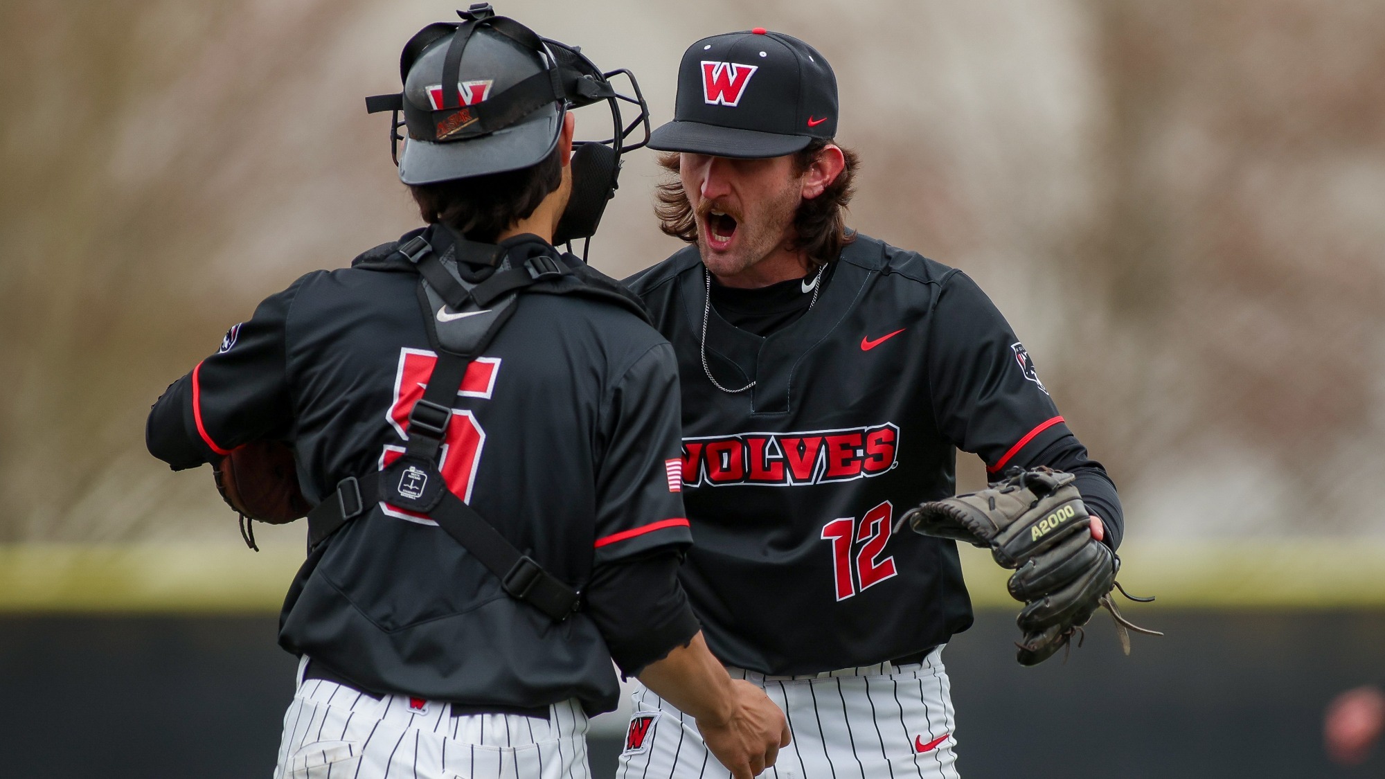 Wolves sweep doubleheader Saturday, take 3 of 4 from #10 NNU - Western ...