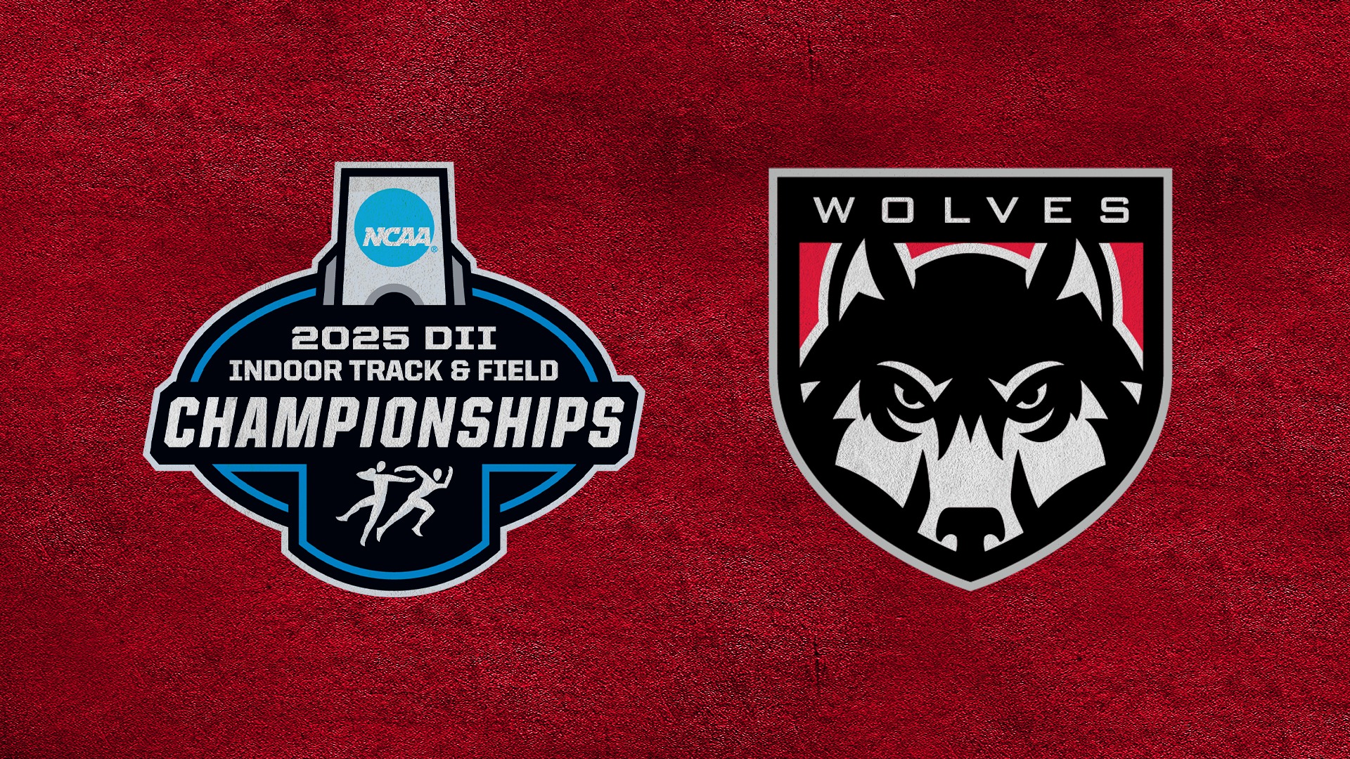 Wolves DMR blazes way to indoor nationals Sunday, outdoor opener sees ...