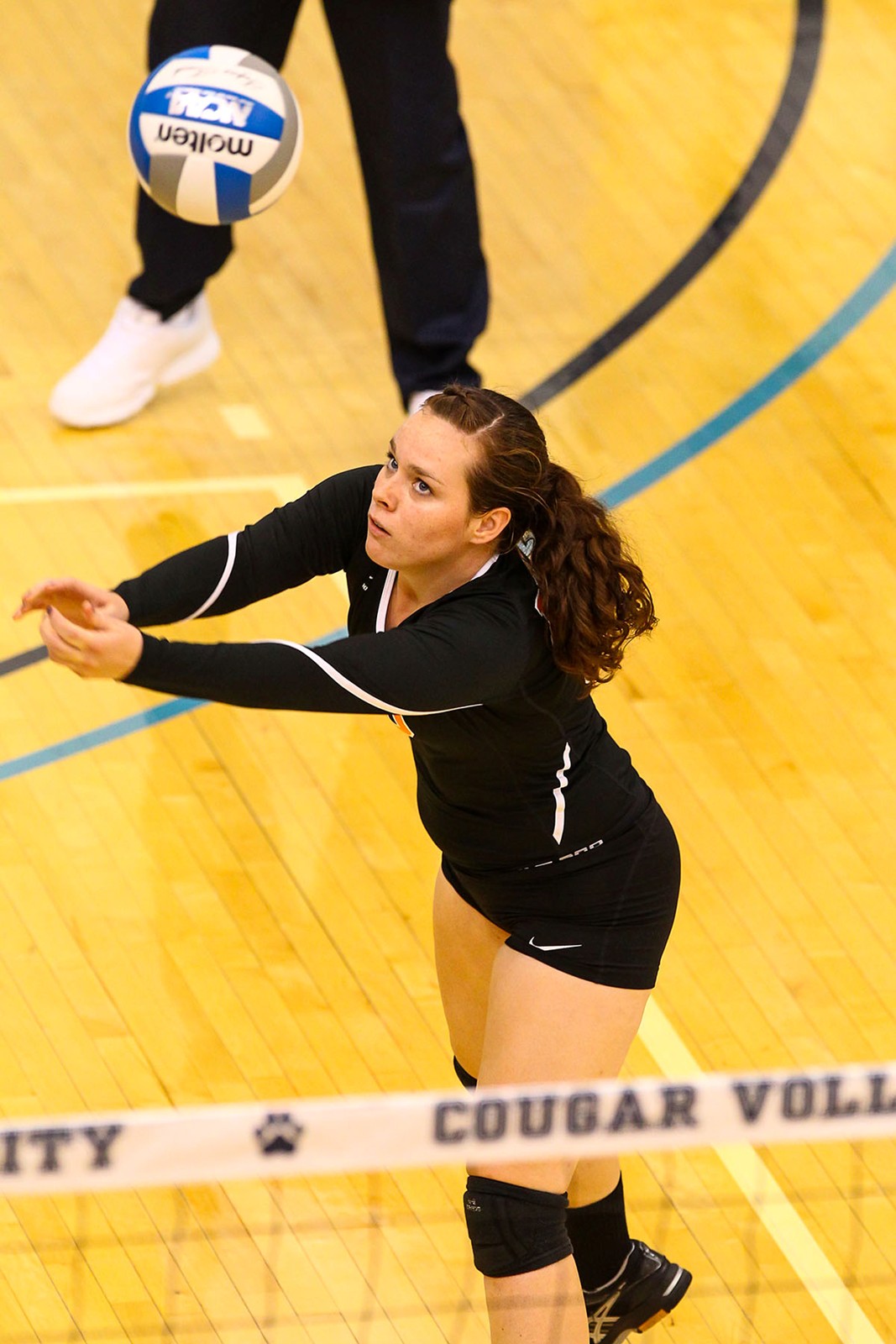 Erin Roach - 2016 - Women's Volleyball - William Paterson University ...