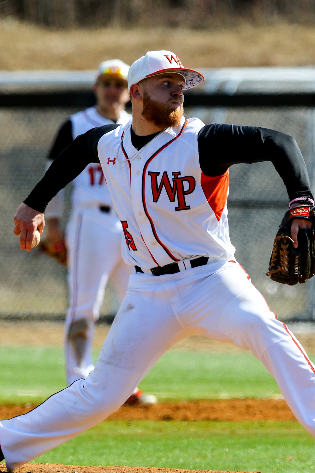 Mitch D'Amato - 2016 - Baseball - William Paterson University Athletics