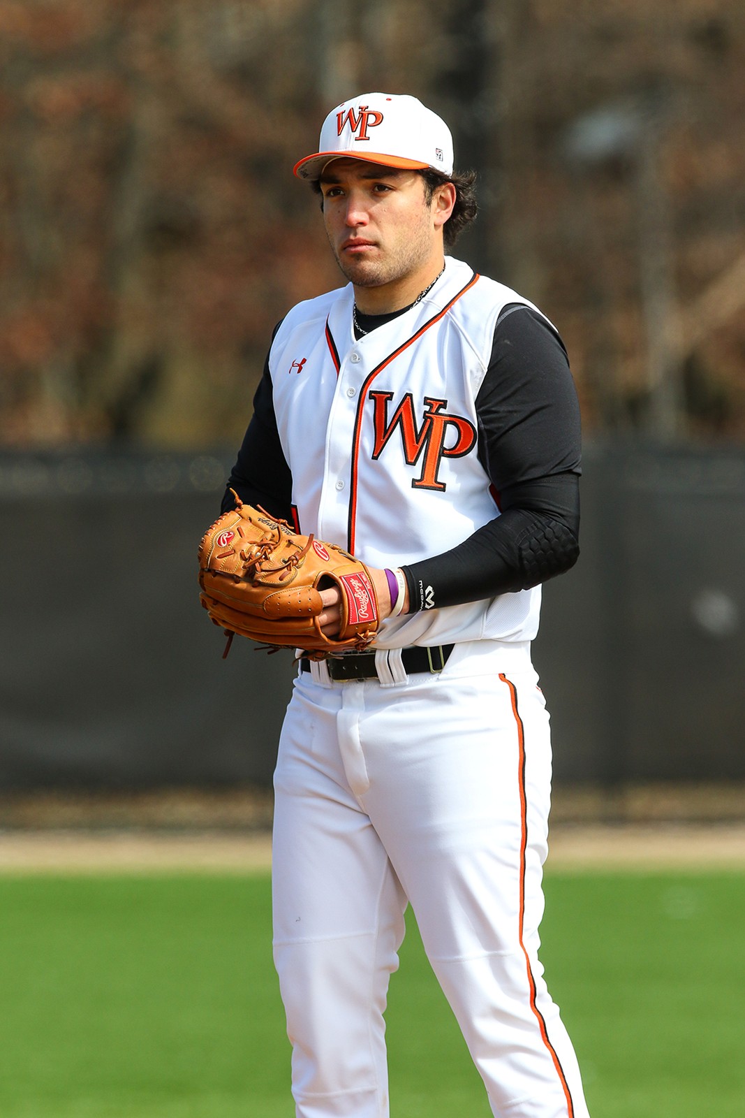 Mario Danza - 2017 - Baseball - William Paterson University Athletics