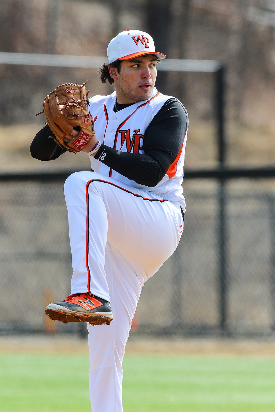 Mario Danza - 2017 - Baseball - William Paterson University Athletics